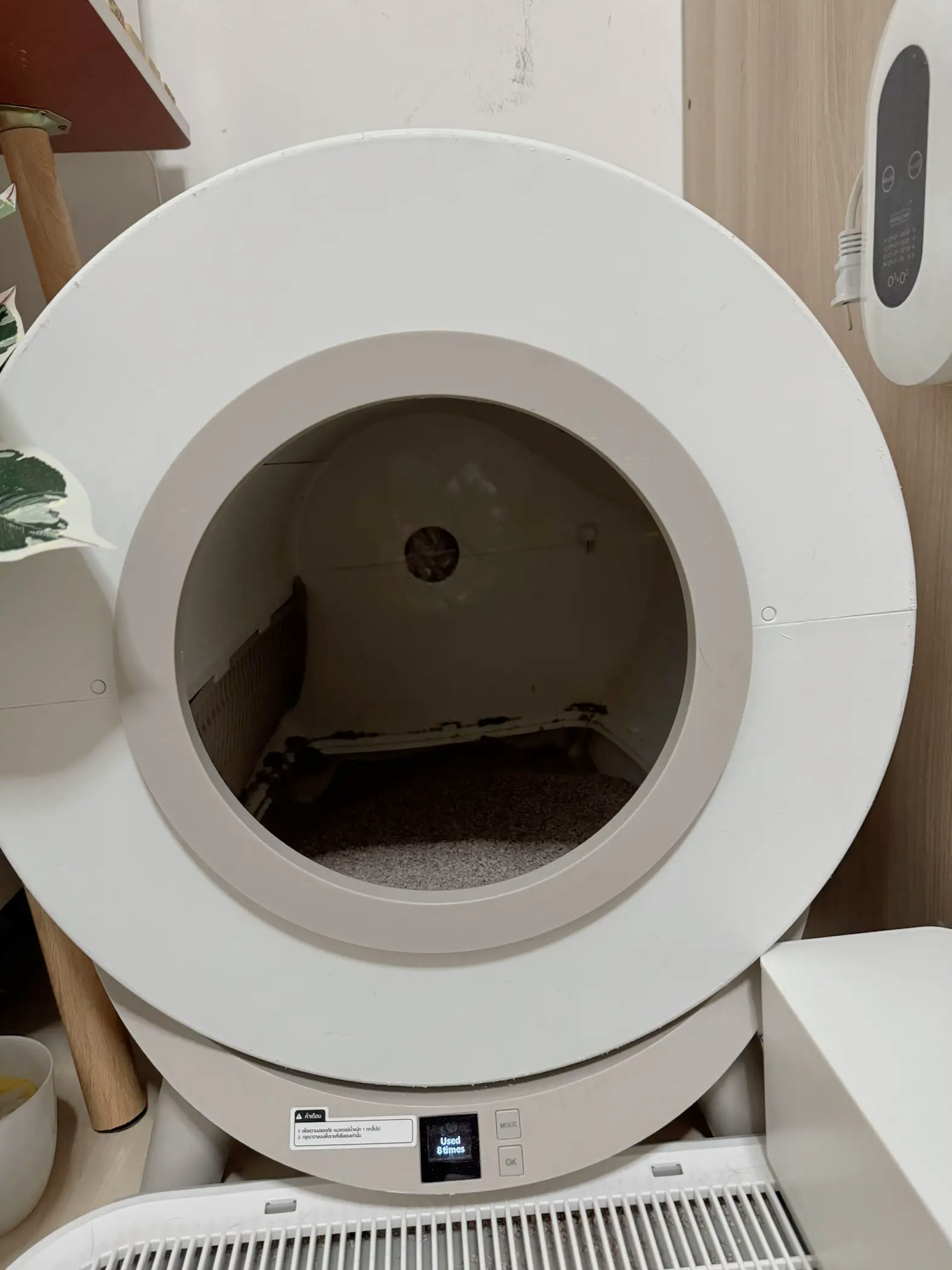 ห้องน้ำแมวอัตโนมัติ Meetcat กับ Petree🐱 | แกลเลอรีที่โพสต์โดย Fon_eats ...