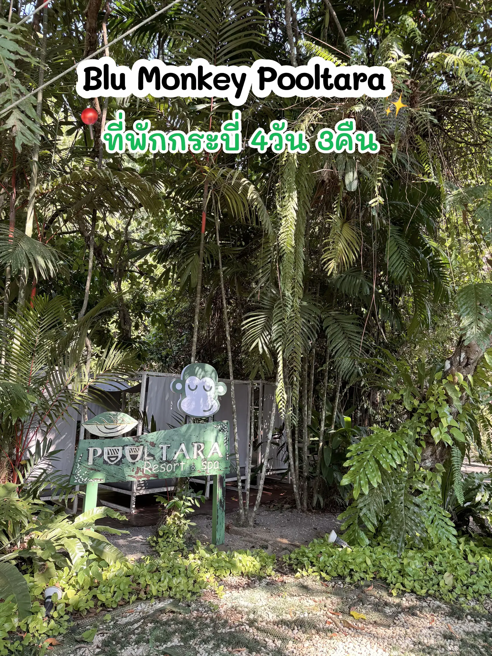 ที่พักกระบี่ Blu Monkey Pooltara Krabi🐵 | แกลเลอรีที่โพสต์โดย ตะลอนไป ...