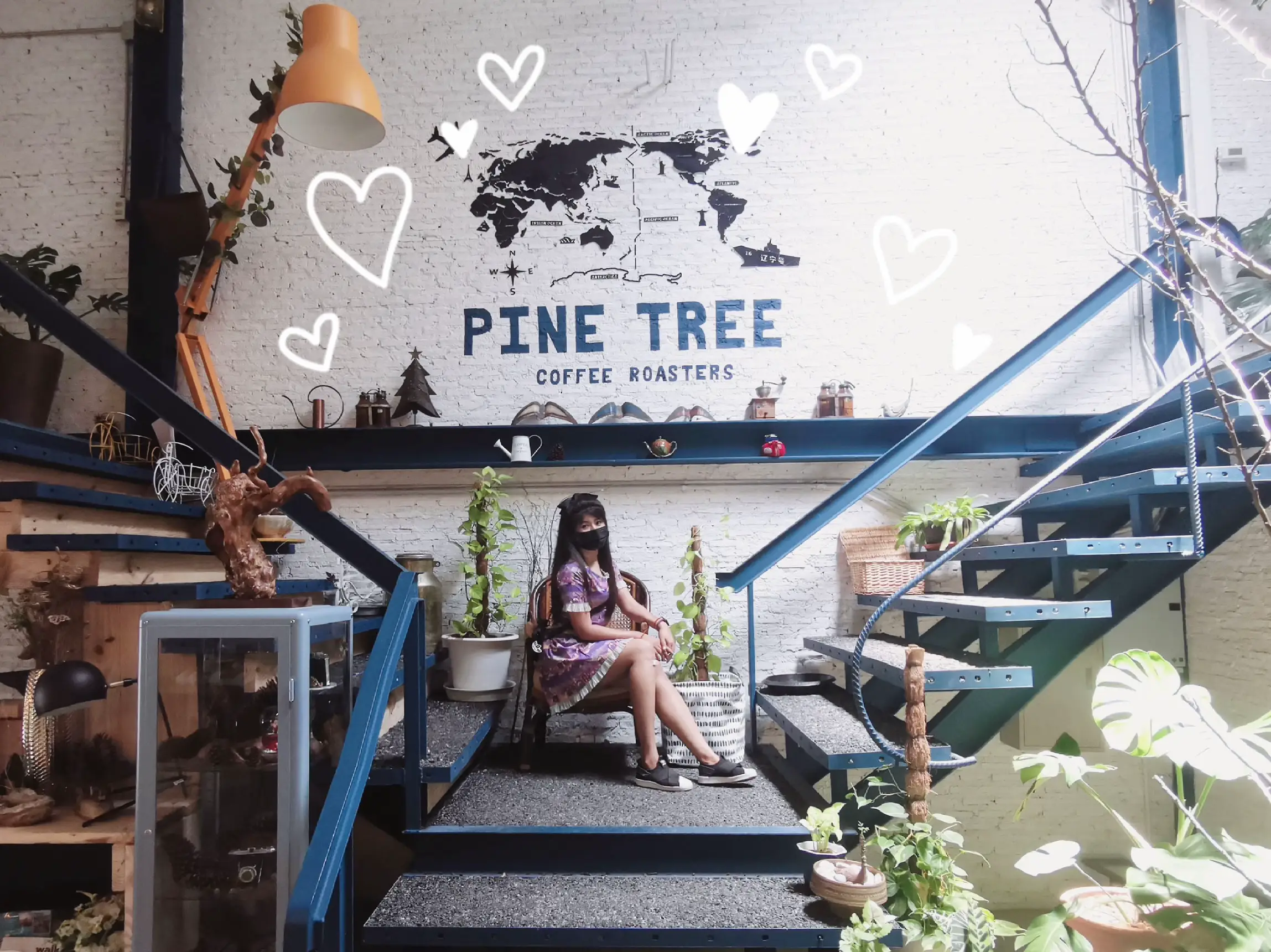 🍀Pine Tree Coffee Roasters | แกลเลอรีที่โพสต์โดย PSP Family🧸 | Lemon8