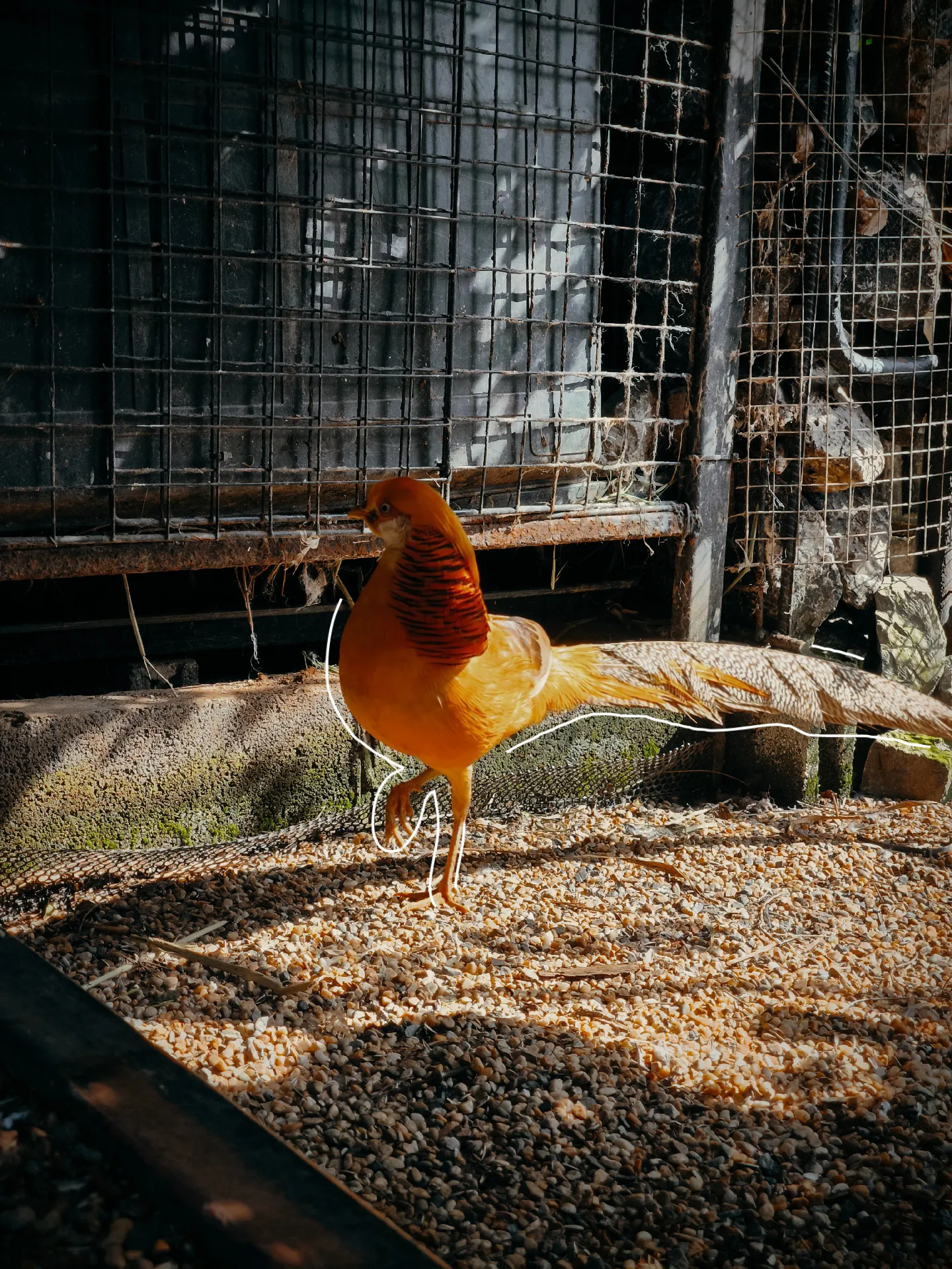 พาเที่ยวคาเฟ่ลับ ใกล้ BTS สำโรง!! | แกลเลอรีที่โพสต์โดย ชอบของถูก | Lemon8