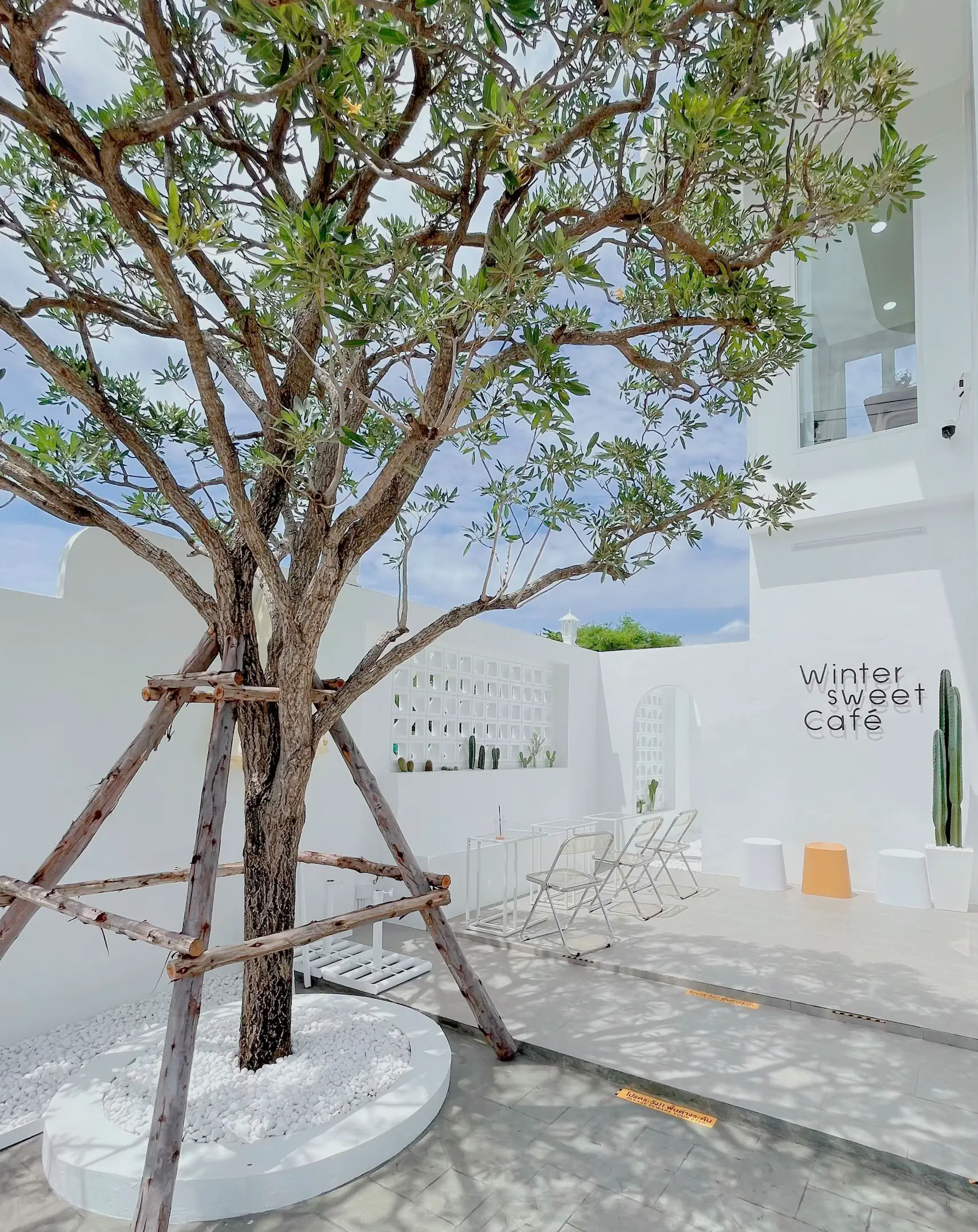 20 ไอเดียยอดนิยมเกี่ยวกับ คาเฟ่ สมุทรปราการ ในปี 2024