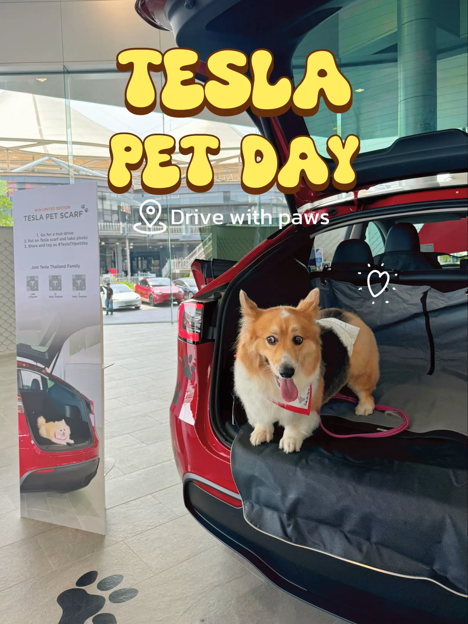 Tesla Pet Day | DRIVE WITH PAWS | แกลเลอรีที่โพสต์โดย Aew | Lemon8