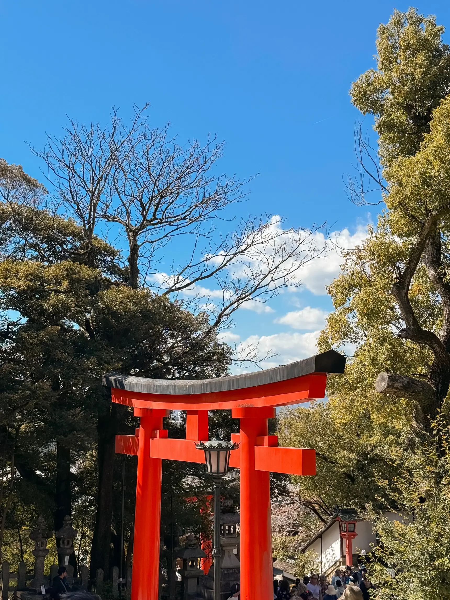 Fushimi Inari หรือ วัดเสาแดง | แกลเลอรีที่โพสต์โดย Chewlu | Lemon8