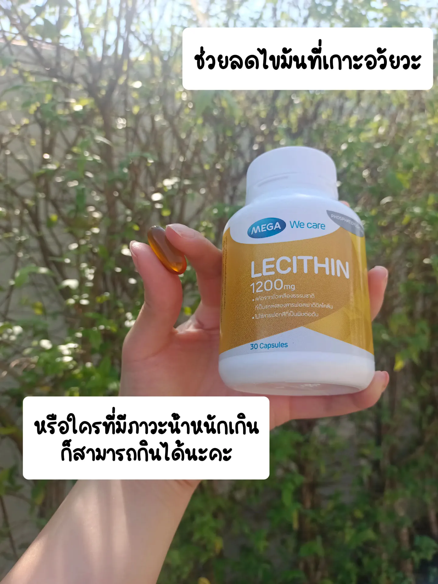 ประโยชน์ของเลซิติน (Lecithin) | แกลเลอรีที่โพสต์โดย Sweetblossom | Lemon8