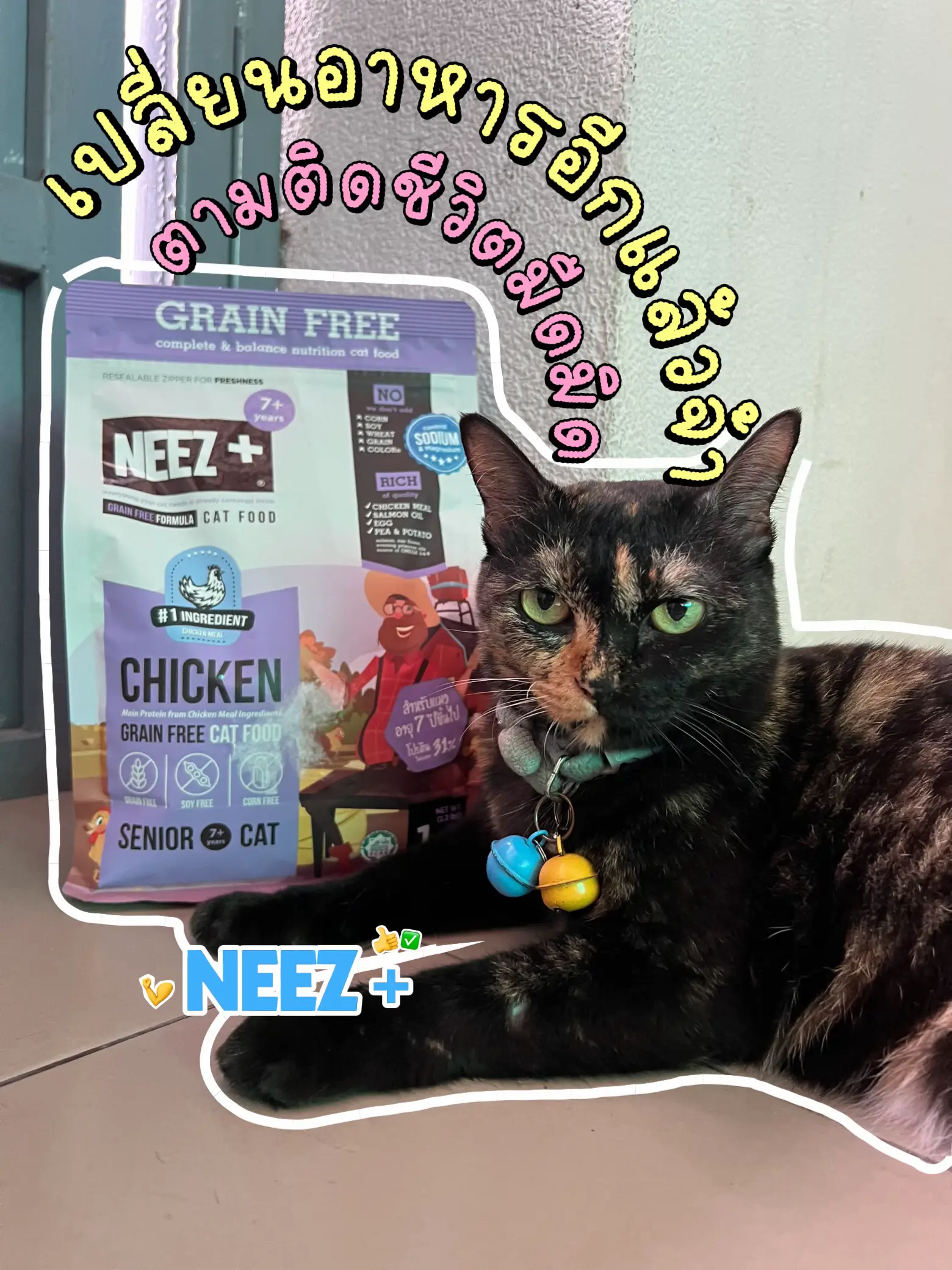 มืดมิดเปลี่ยนอาหารอีกแล้วจ้า NEEZ + | แกลเลอรีที่โพสต์โดย SANDEE LIKEACAT | Lemon8