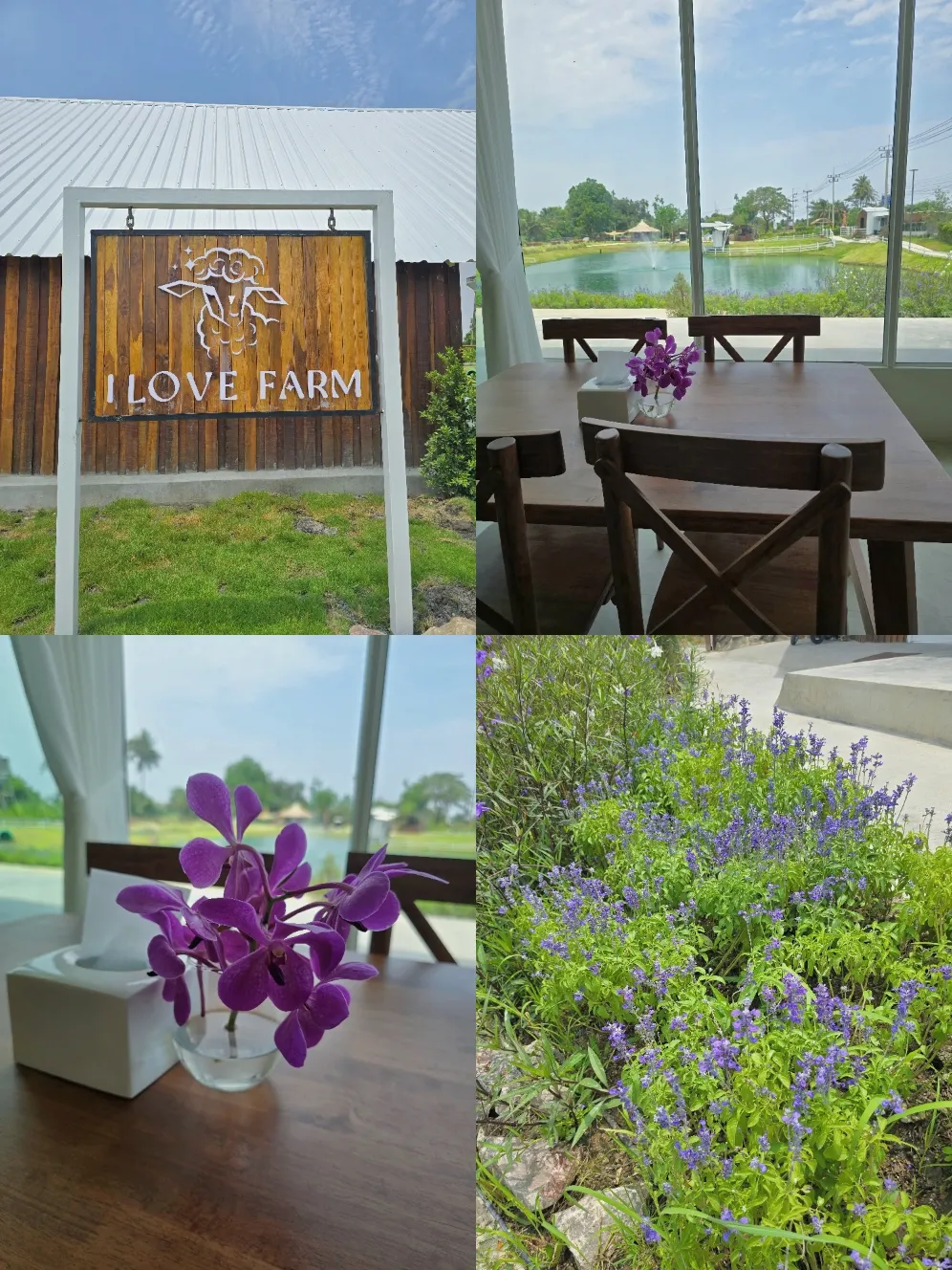 I LOVE FARM CAFE | แกลเลอรีที่โพสต์โดย 🅽🆄🆃 🅰🆁🅴🅴 | Lemon8