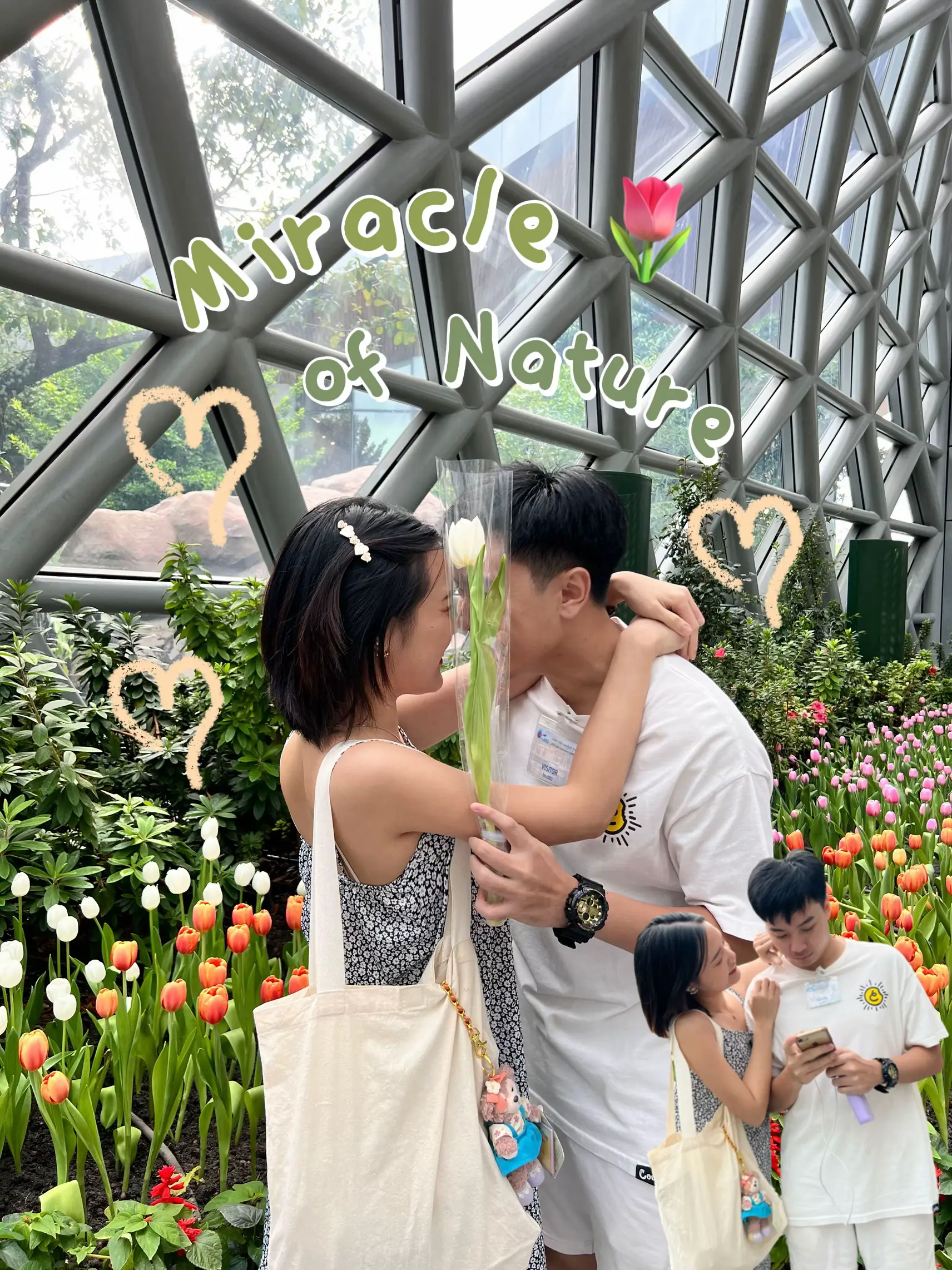 Miracle Of Natural จ.ระยอง ก็แค่ปากซอย🌷 | แกลเลอรีที่โพสต์โดย แพมมิชชี่ ...