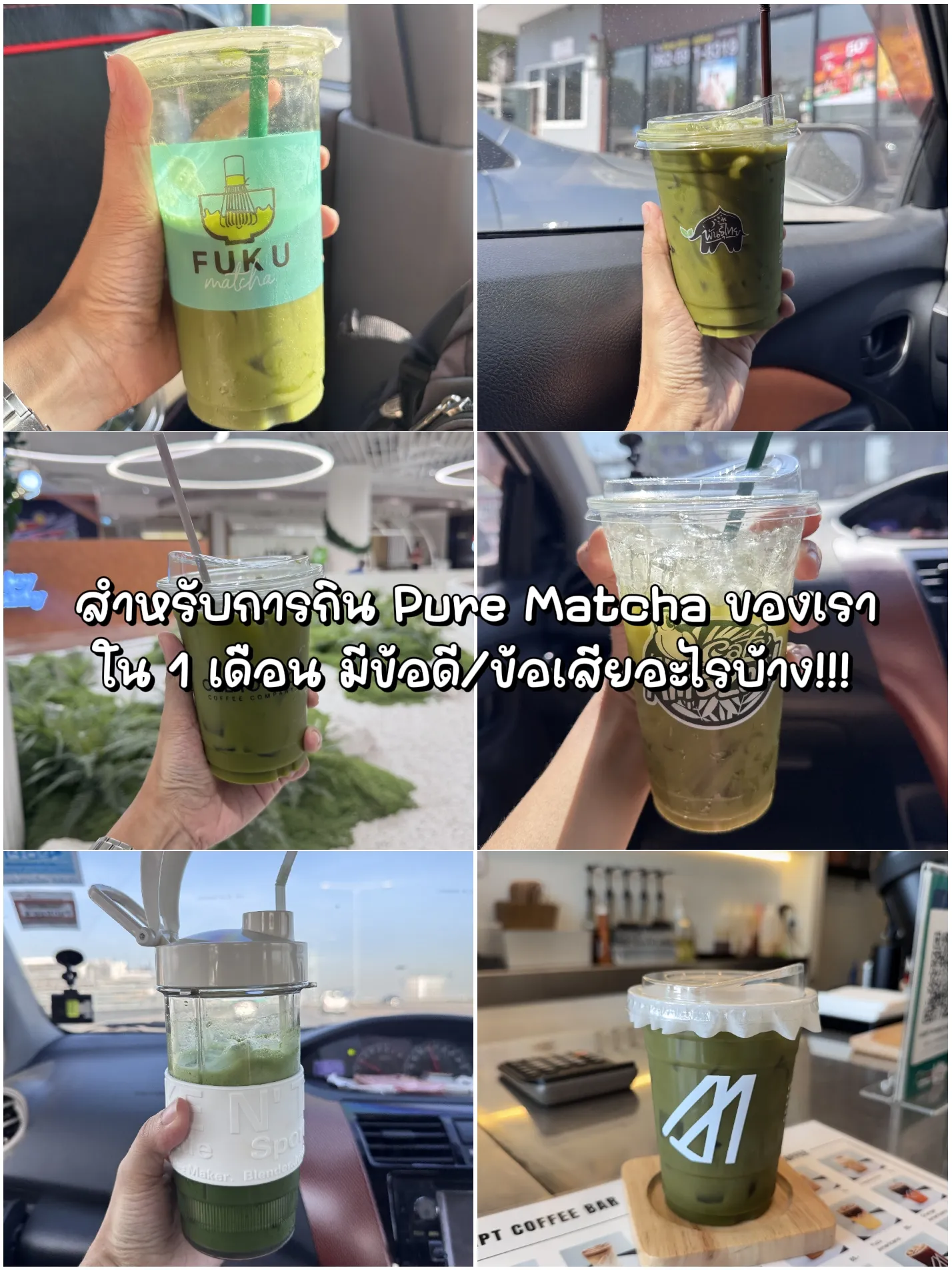 ประโยชน์ที่ได้จากการทาน Pure Matcha ครบ 1 เดือน 🍵🌱 | แกลเลอรีที่โพสต์ ...