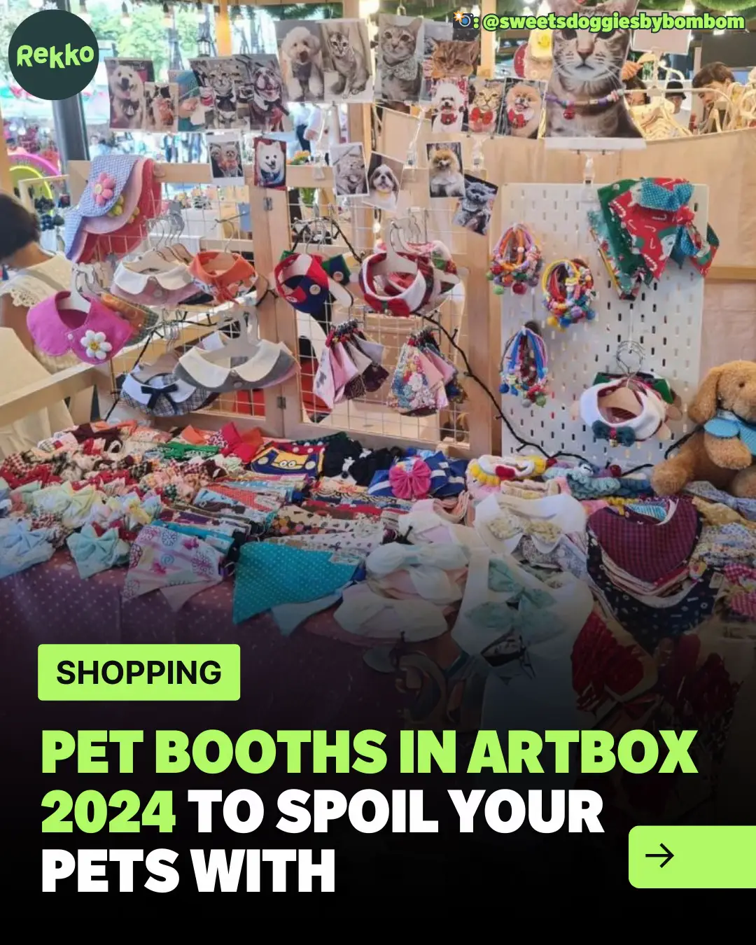 PET BOOTHS IN ARTBOX 2024 TO SPOIL YOUR PETS WITH | Gallery posted by rekko.sg | Lemon8