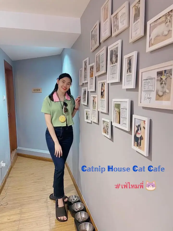 รีวิวคาเฟ่ทาสแมว Catnip House Cat Cafe | แกลเลอรีที่โพสต์โดย ...