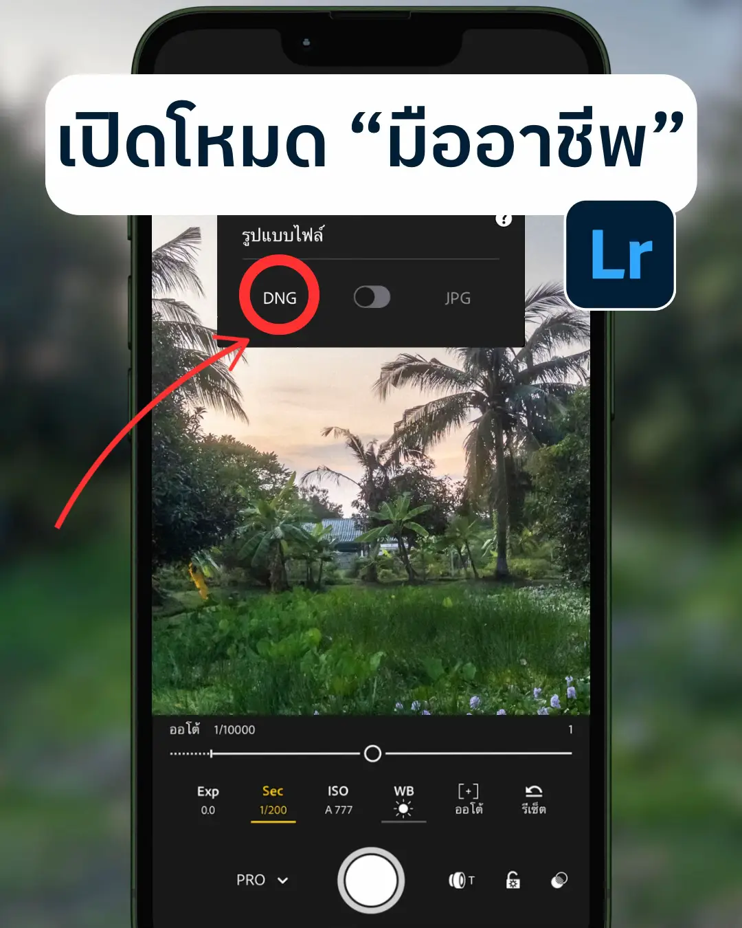ไม่ต้องใช้ iPhone รุ่น Pro ก็ถ่าย Raw ได้! ด้วย Lightroom | แกลเลอรีที่ ...