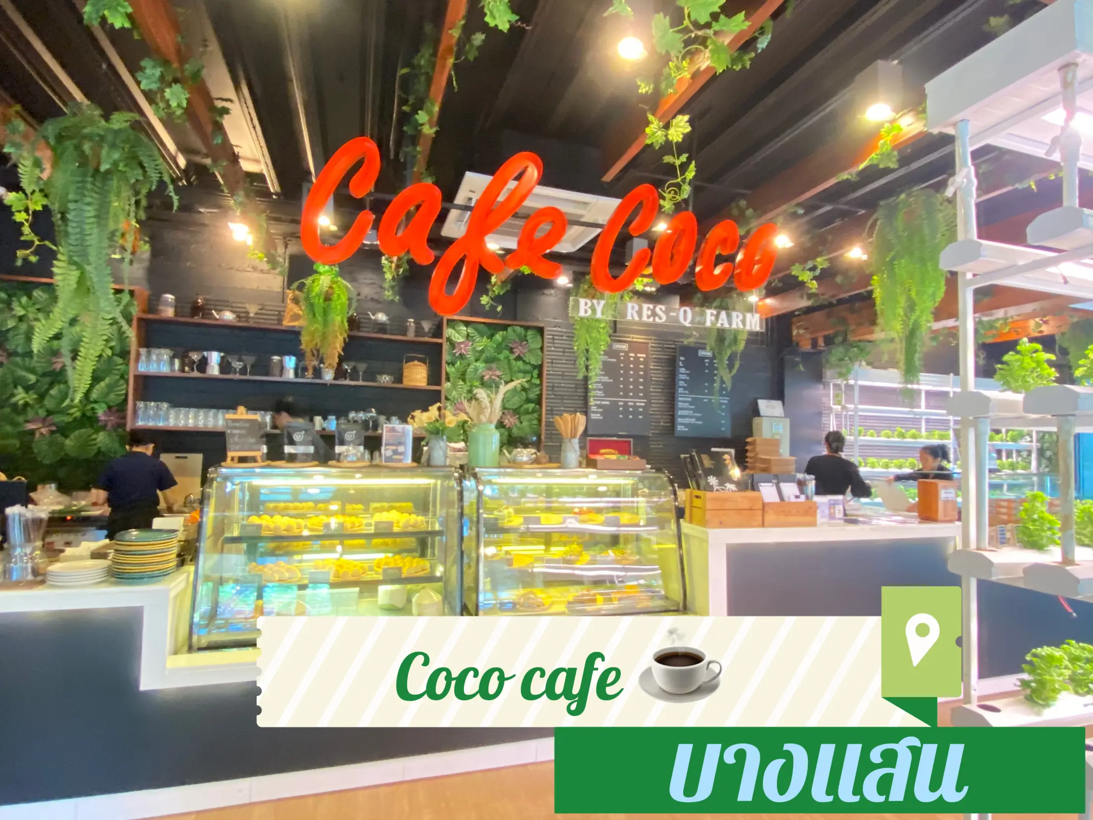 Coco cafe ☕️ | Galeri disiarkan oleh 🚗พาลูกเที่ยว 👧 | Lemon8