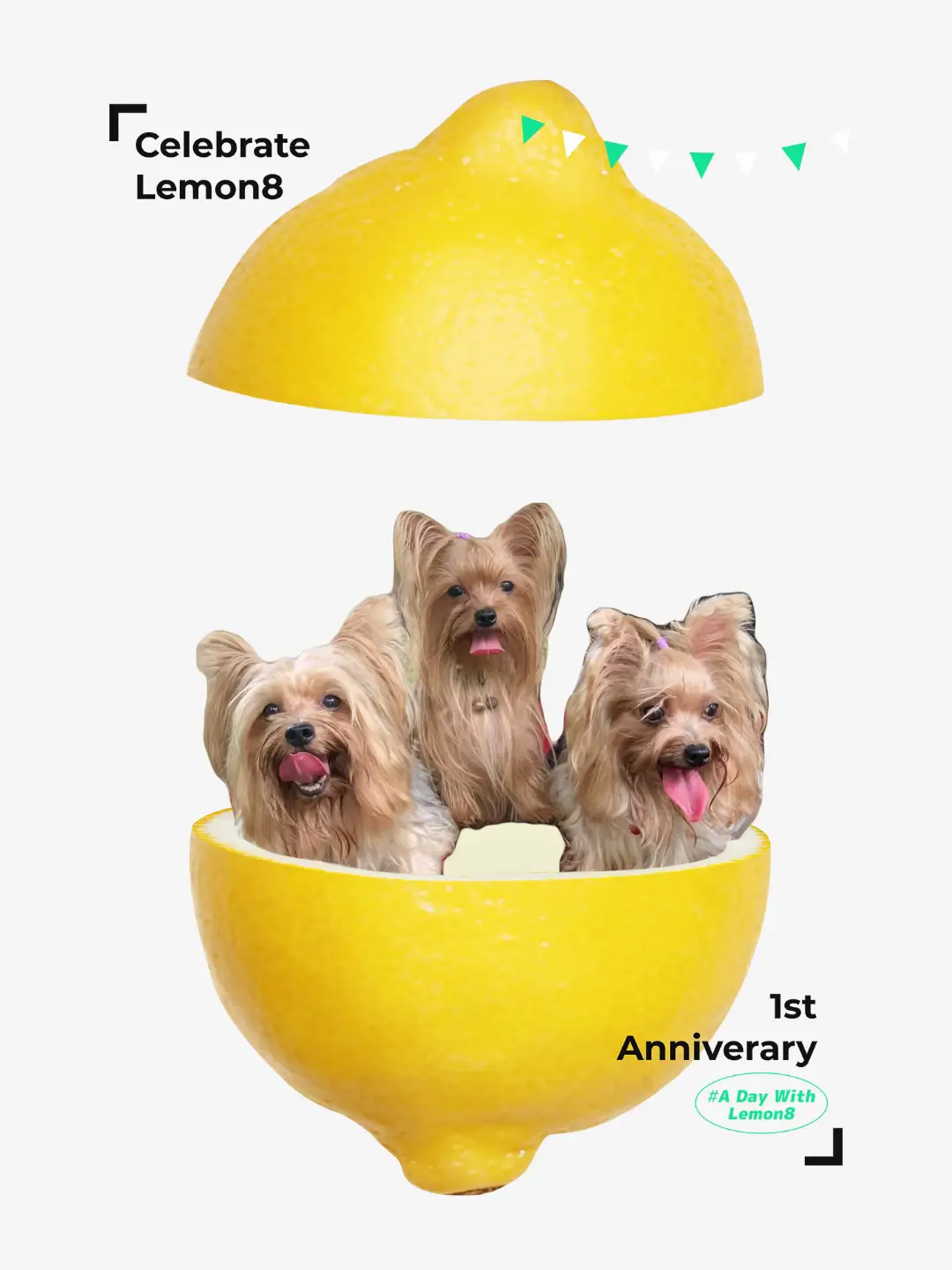 4ขาพาเพลิน | แกลเลอรีที่โพสต์โดย Piggy | Lemon8