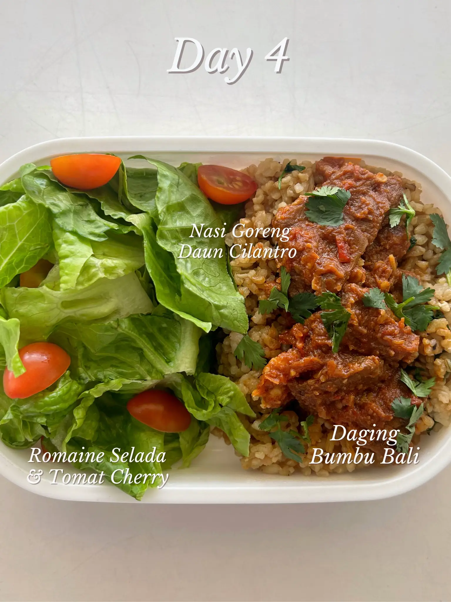 Ide Menu Bekal Ke Kantor Untuk 4 Hari Pt. 5 🍱👩🏻‍💼🧑🏻‍💼😋 | Galeri diposting oleh Intan | Lemon8