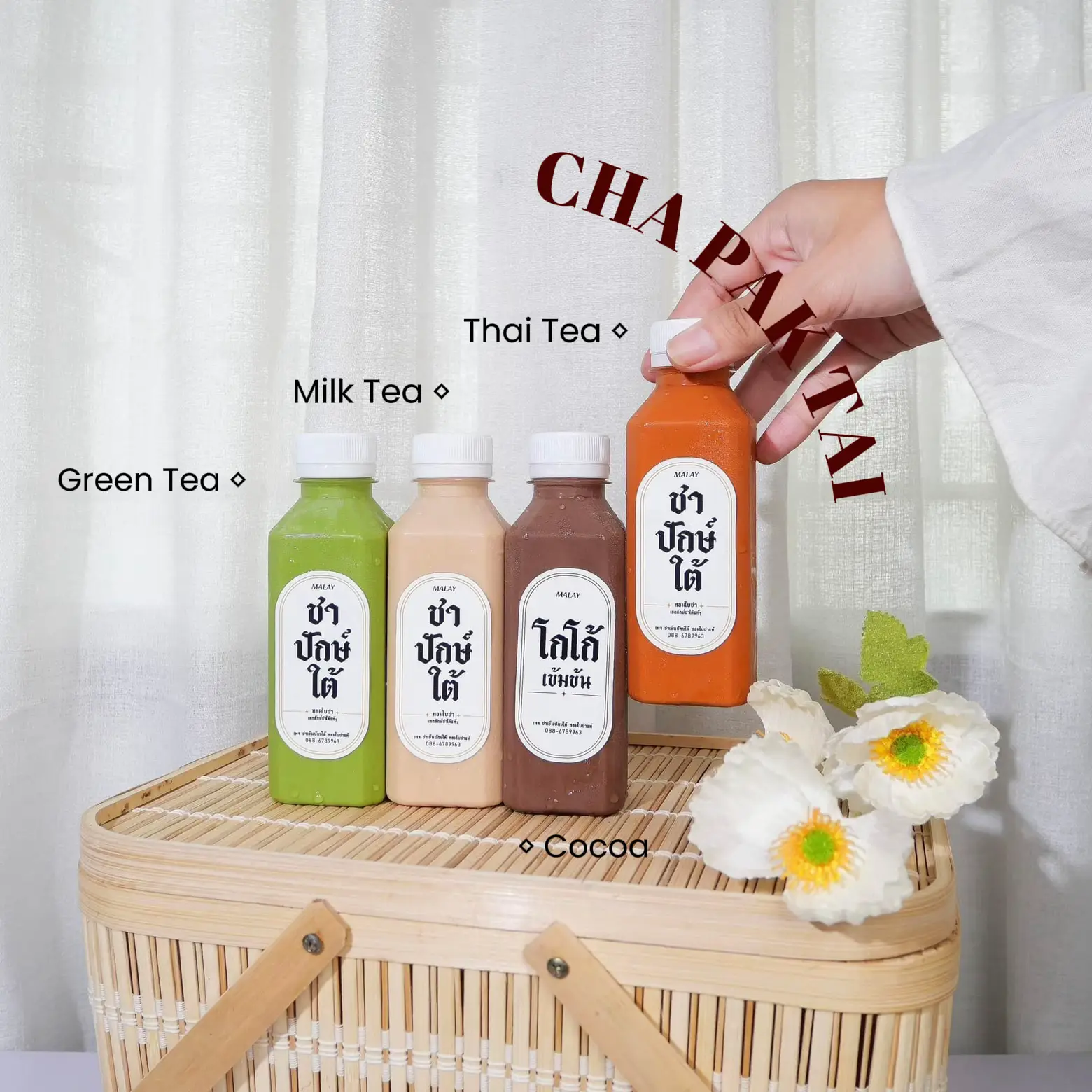 Cha Pak Tai ชาปักษ์ใต้ที่จริงจัย🫶🏻 | แกลเลอรีที่โพสต์โดย สดชื่นนนนน ...