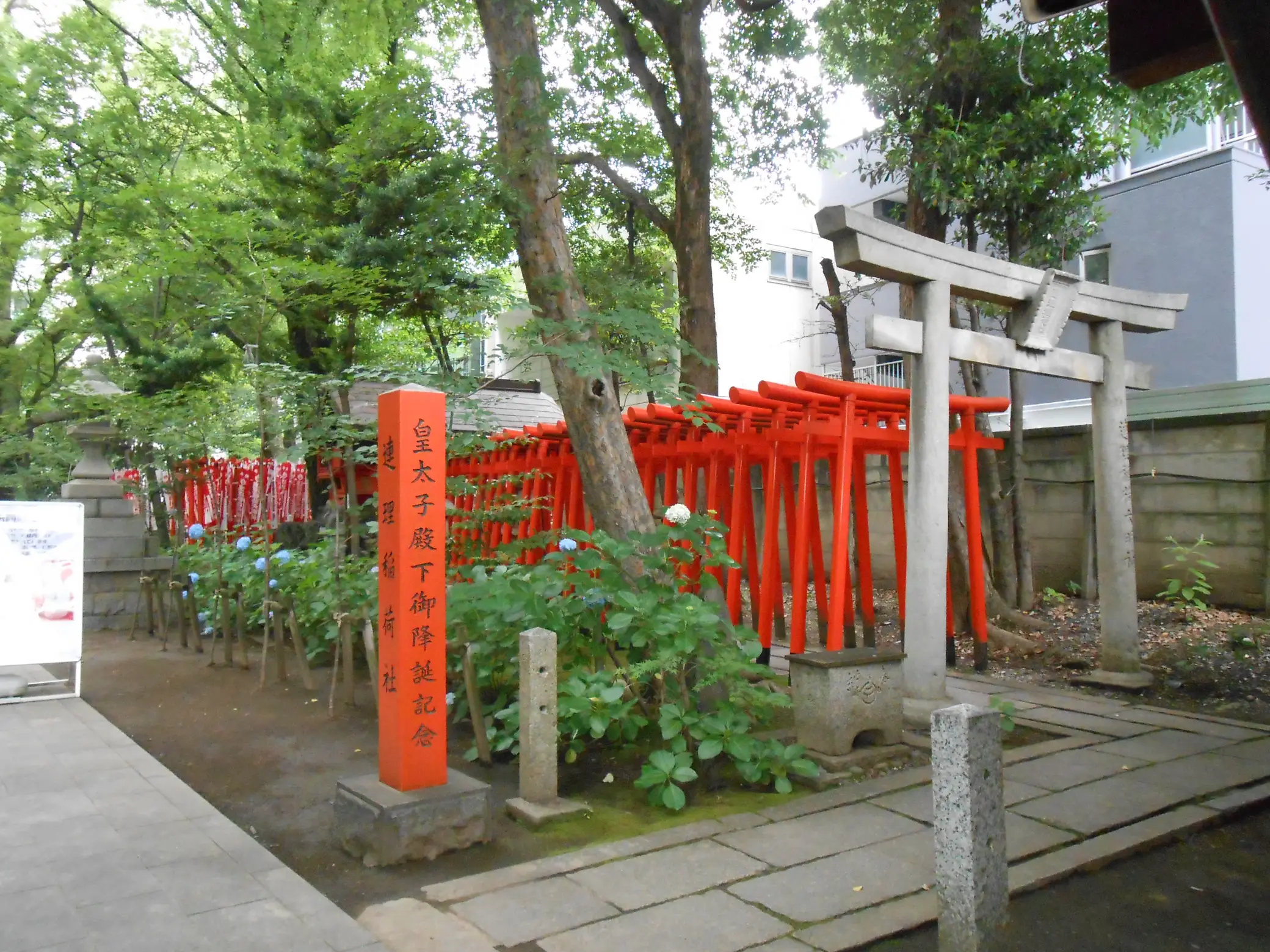 REVIEW Nikon Coolpix s3300 | แกลเลอรีที่โพสต์โดย shu~🩵 | Lemon8