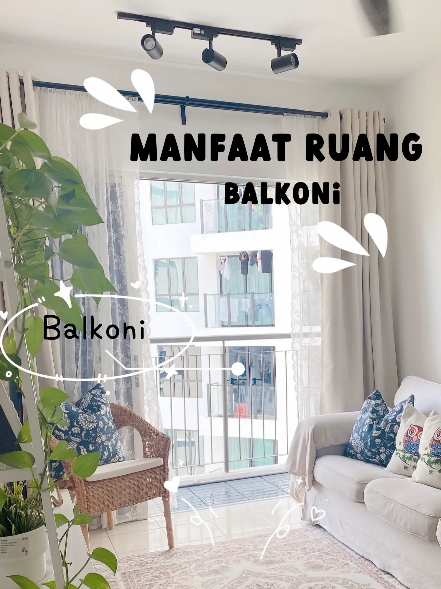 Tanaman Balkoni - Carian Lemon8