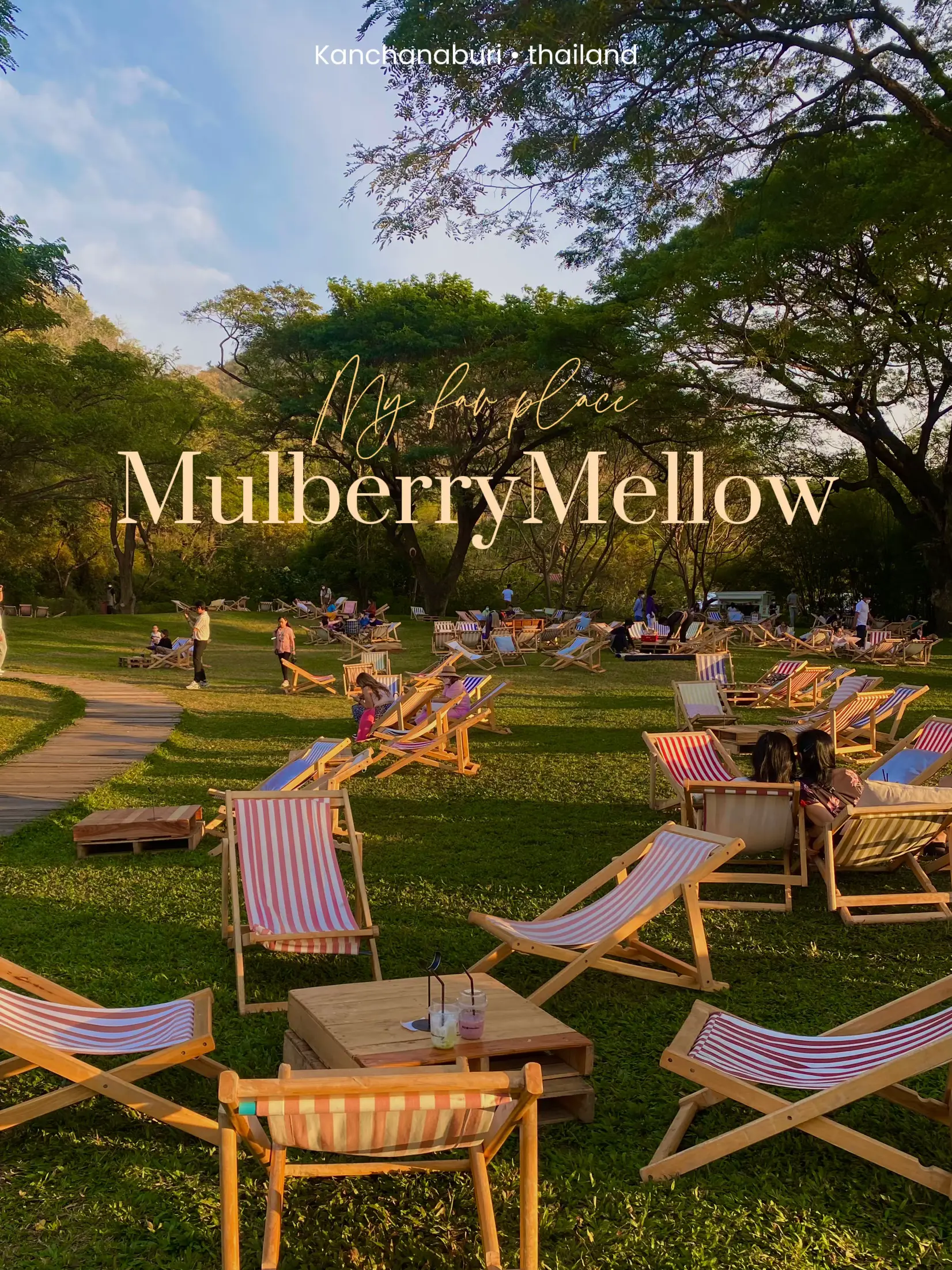 Lemon8 Thailand - การค้นหาใน Lemon8