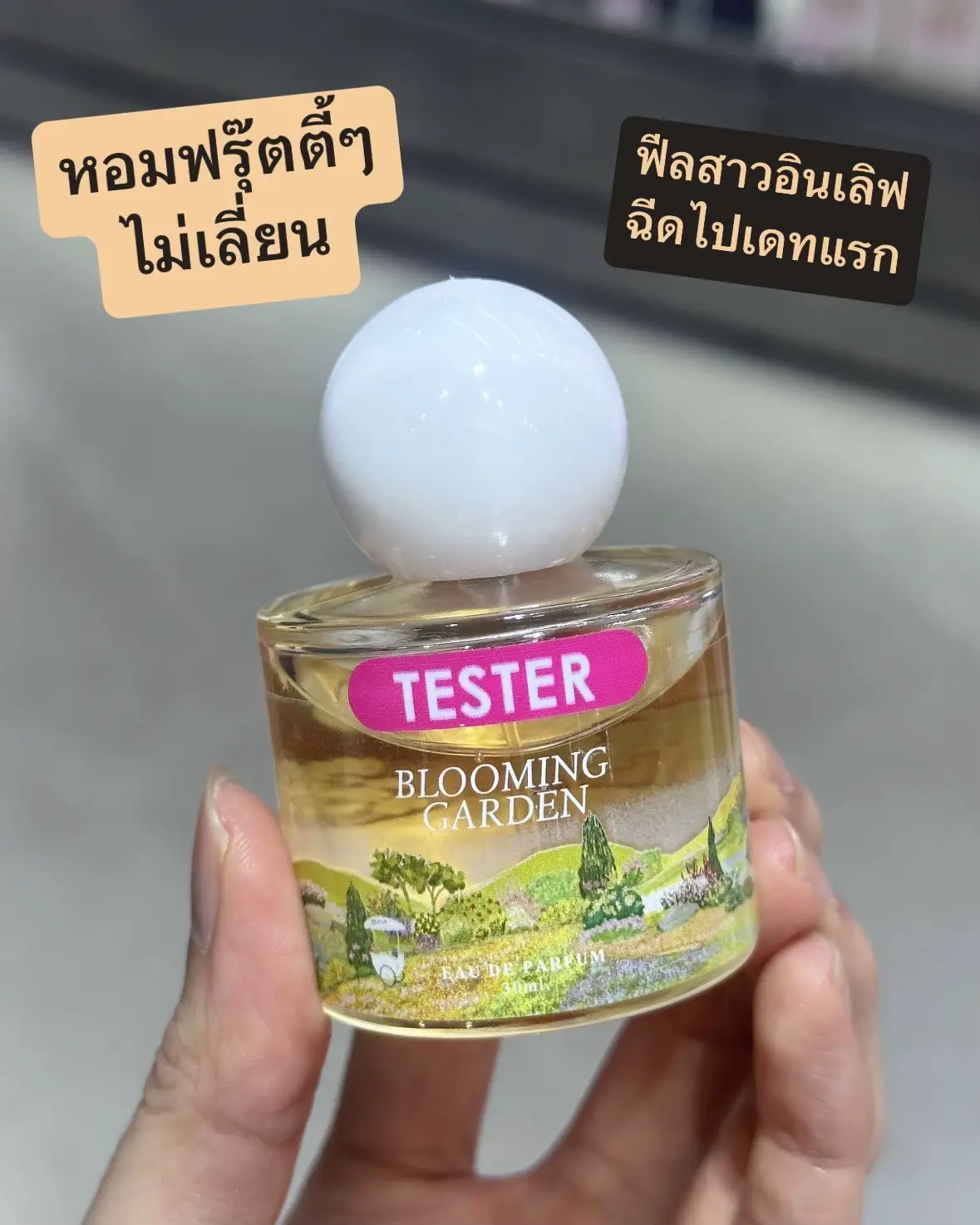 Janua, reduced! to 199. - (usually 290.-) | Gallery posted by ...