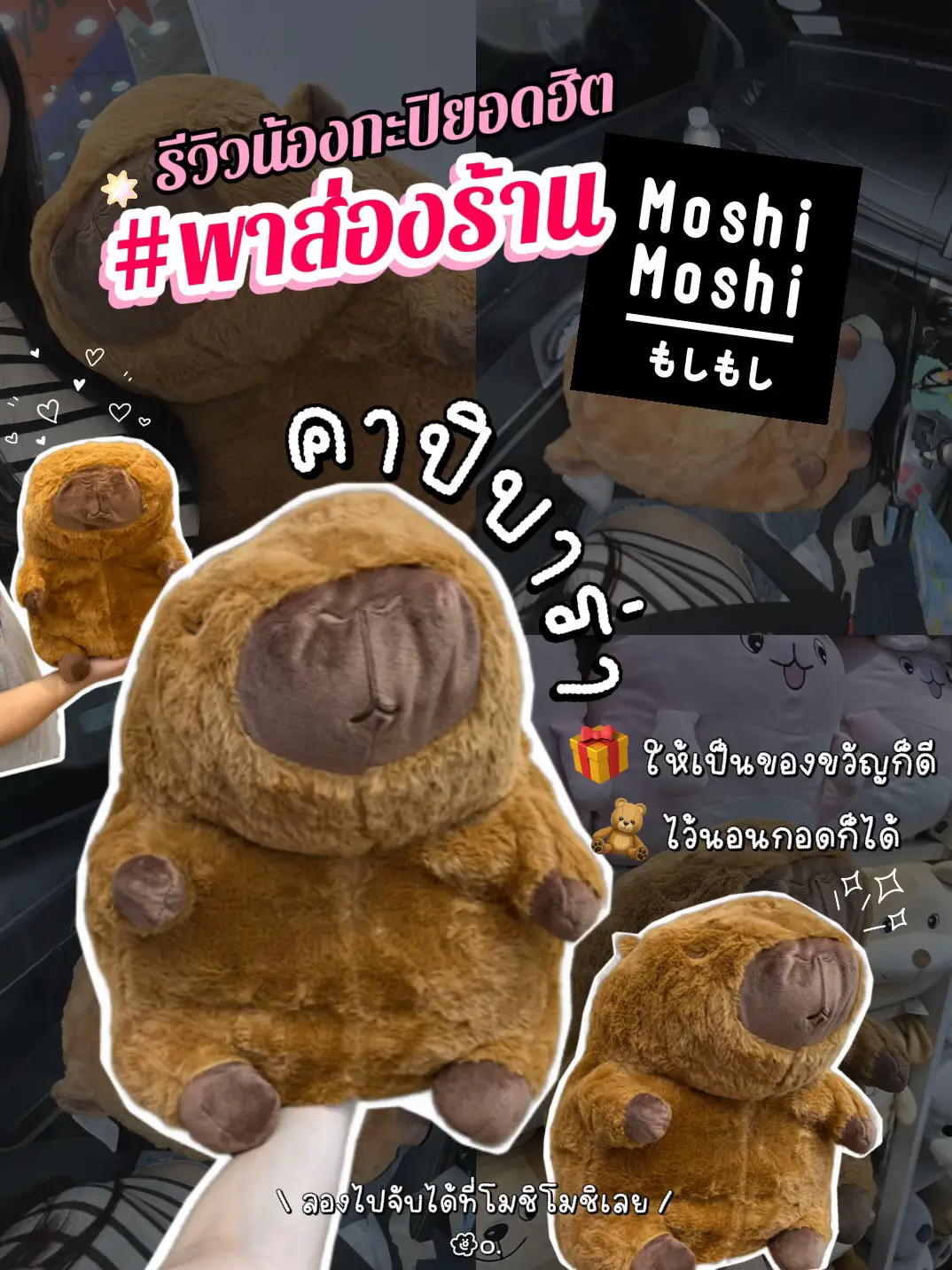 ส่อง! Moshi Moshi🙂‍↕️ วางขายคาปิตัวยักษ์ ในราคาหลักร้อยต้นๆ🤏🏻 | แกลเลอ ...