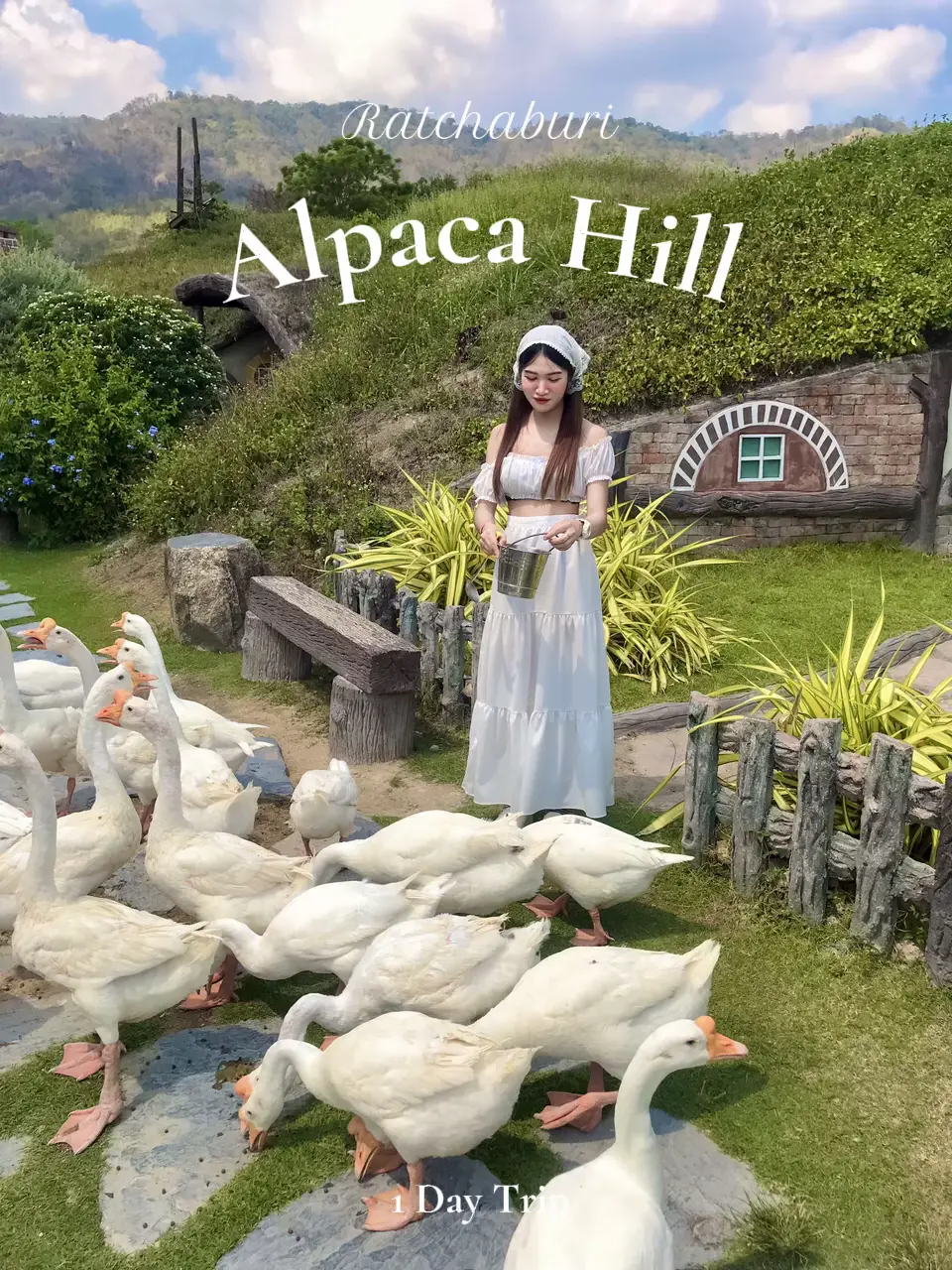 Alpaca Hill สวนผึ้ง ราชบุรี | แกลเลอรีที่โพสต์โดย Panida3003 | Lemon8