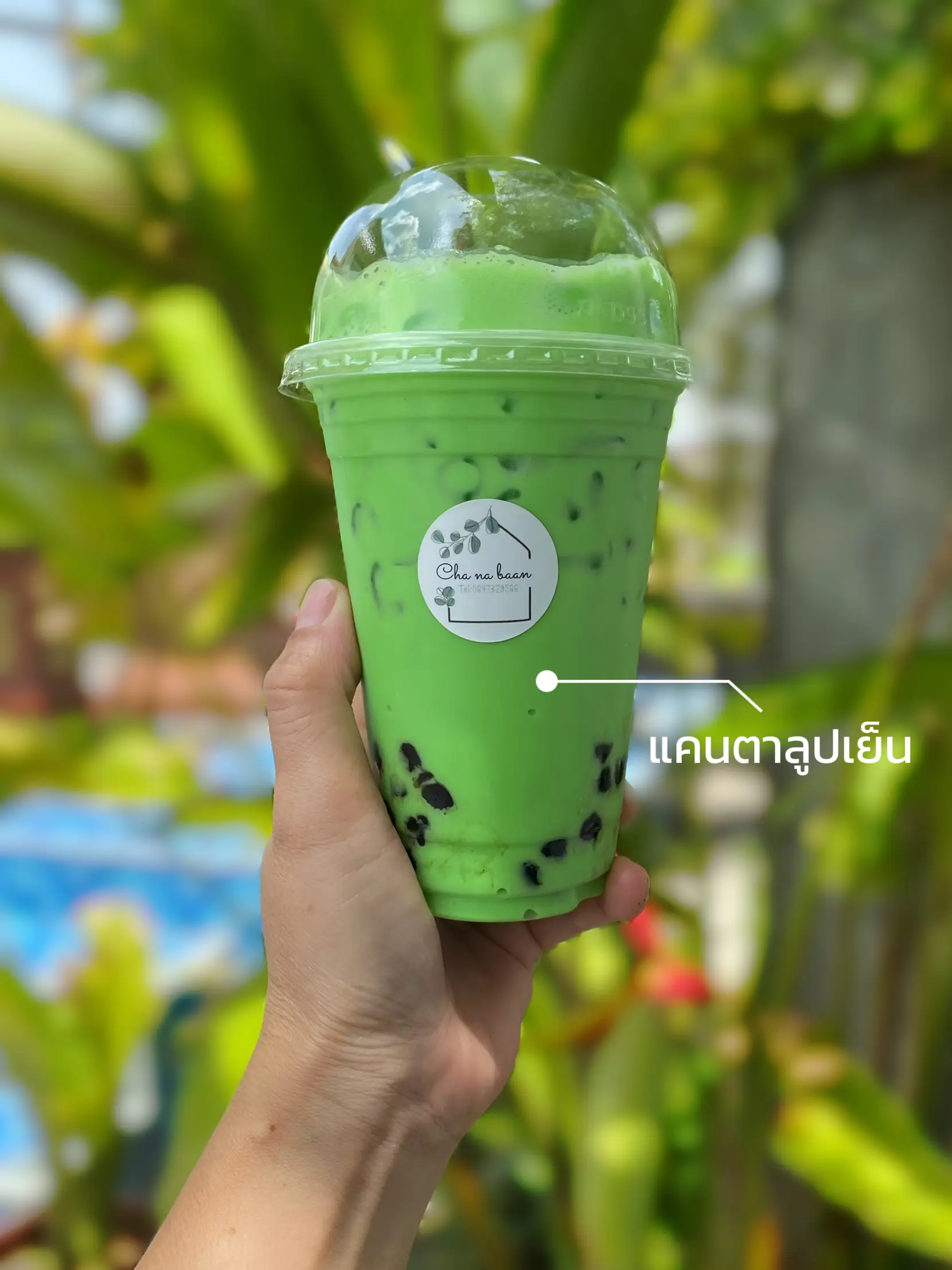 ชาเขียวมะพร้าวนมสดปั่น | แกลเลอรีที่โพสต์โดย Chanthima Kongb | Lemon8