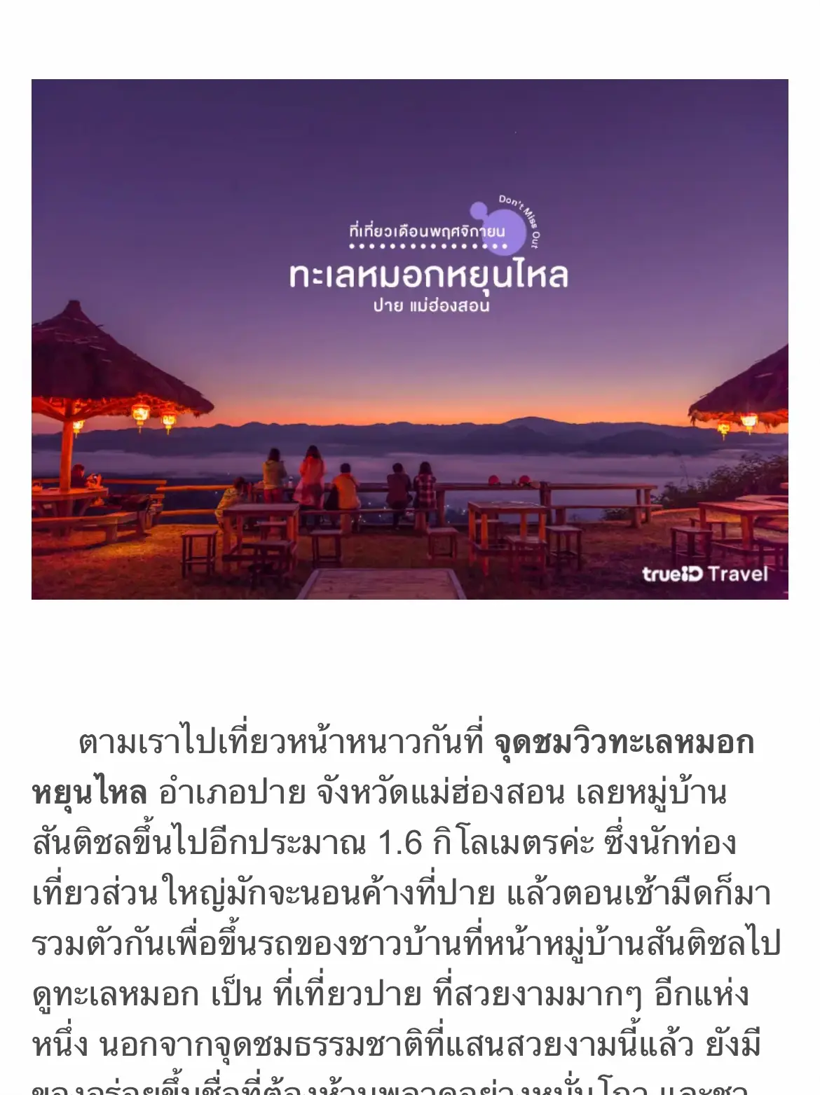 11 ที่เที่ยวฤดูหนาวที่ต้องห้ามพลาด EP 2🍋🍋 | แกลเลอรีที่โพสต์โดย Napat_Ubon | Lemon8