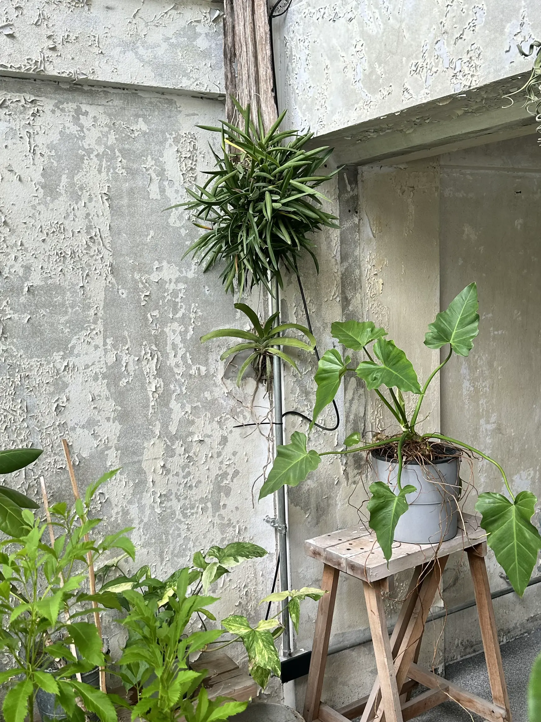 Vibrant.bkk | BTS phahonyothin 59 | แกลเลอรีที่โพสต์โดย prae | Lemon8