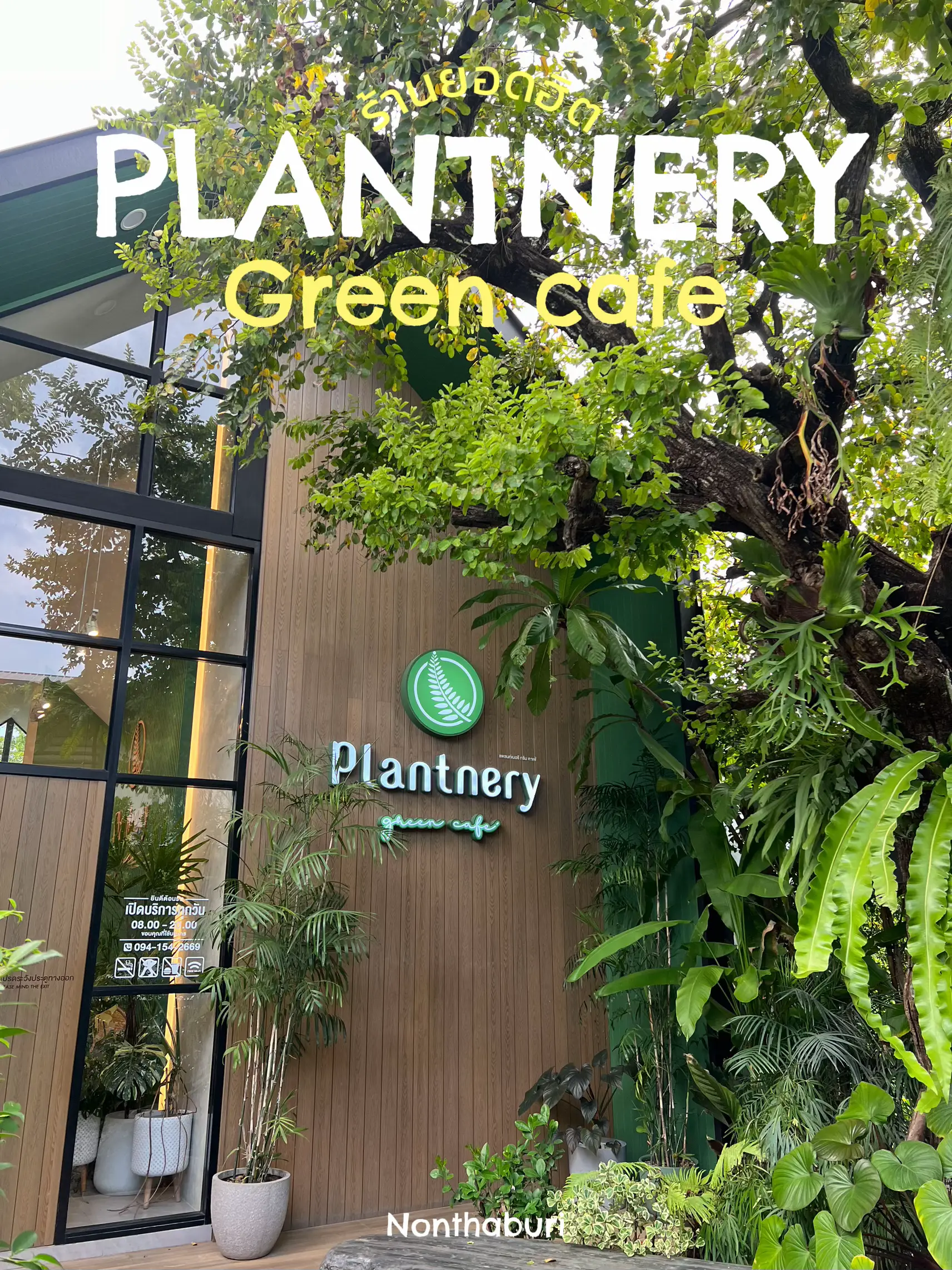 🌳Plantnery green cafe : คาเฟ่ฟีลสวนป่า ใกล้เมืองทอง | แกลเลอรีที่โพสต์ ...