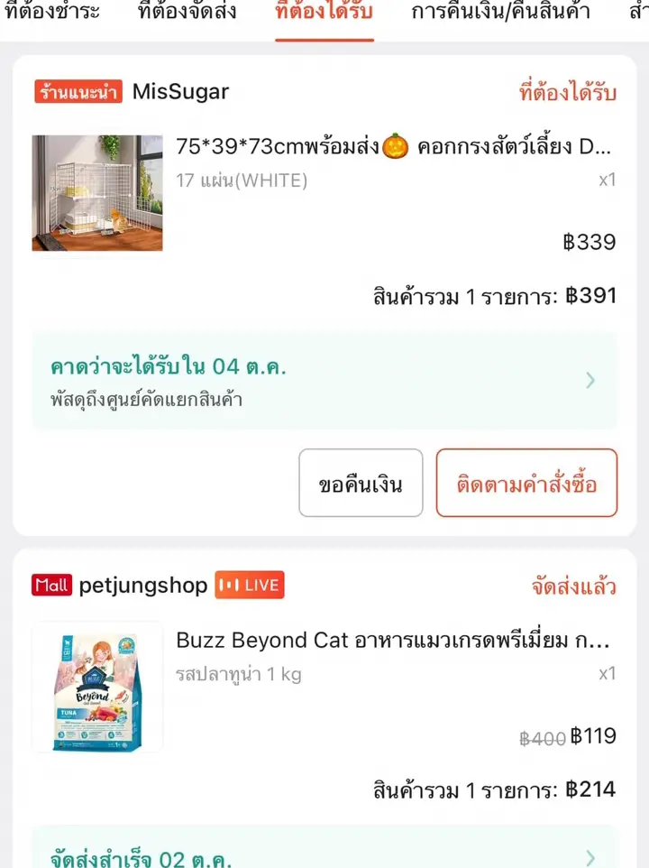 เมื่อเรารับแมวจรมาเลี้ยง | แกลเลอรีที่โพสต์โดย K_a-tae🐰 | Lemon8