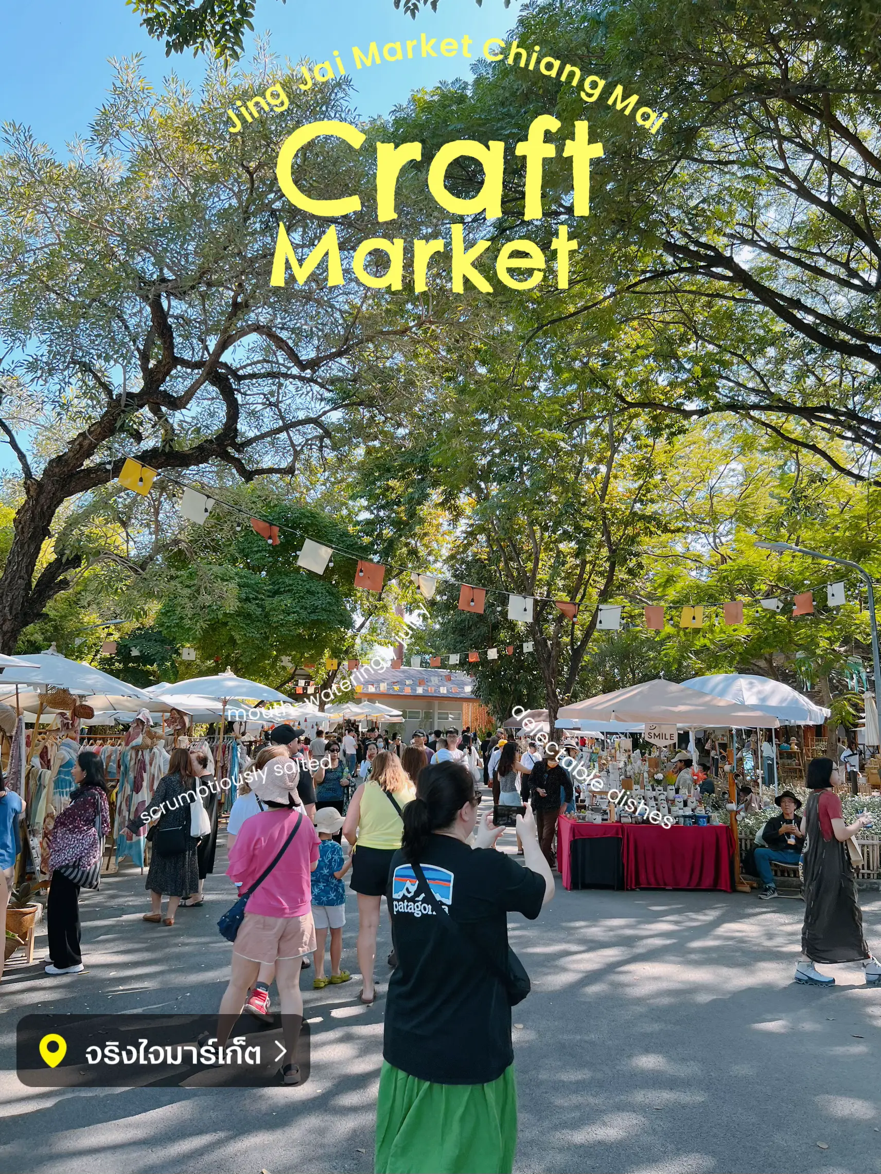 เชียงใหม่2023 | แกลเลอรีที่โพสต์โดย Marut | Lemon8