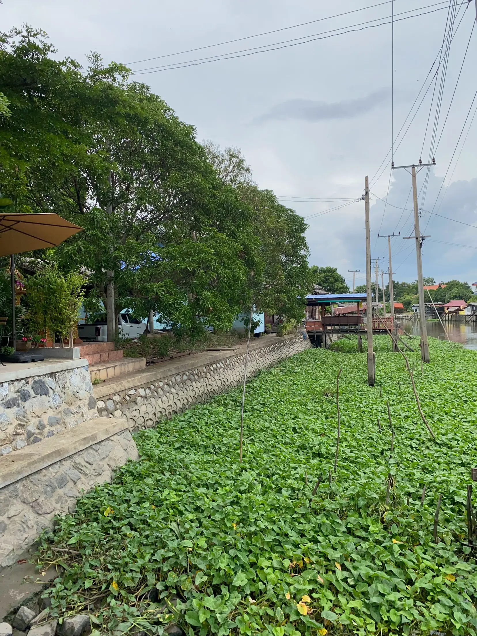 คาเฟ่นนทบุรี ร้านรำไร | แกลเลอรีที่โพสต์โดย Ramida.Diary | Lemon8