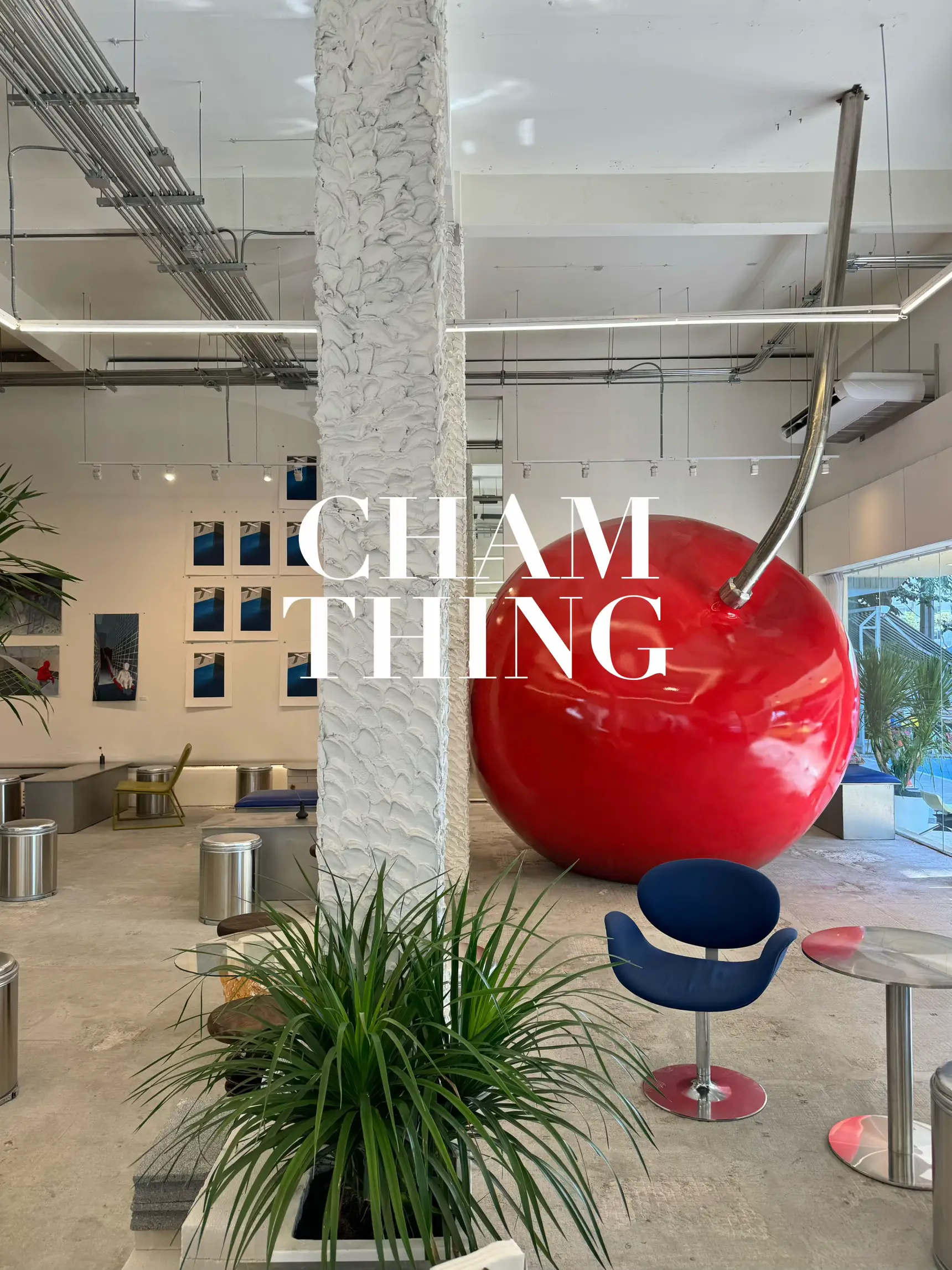 CHAM CAFE🍒☕️ | แกลเลอรีที่โพสต์โดย Places two Go | Lemon8