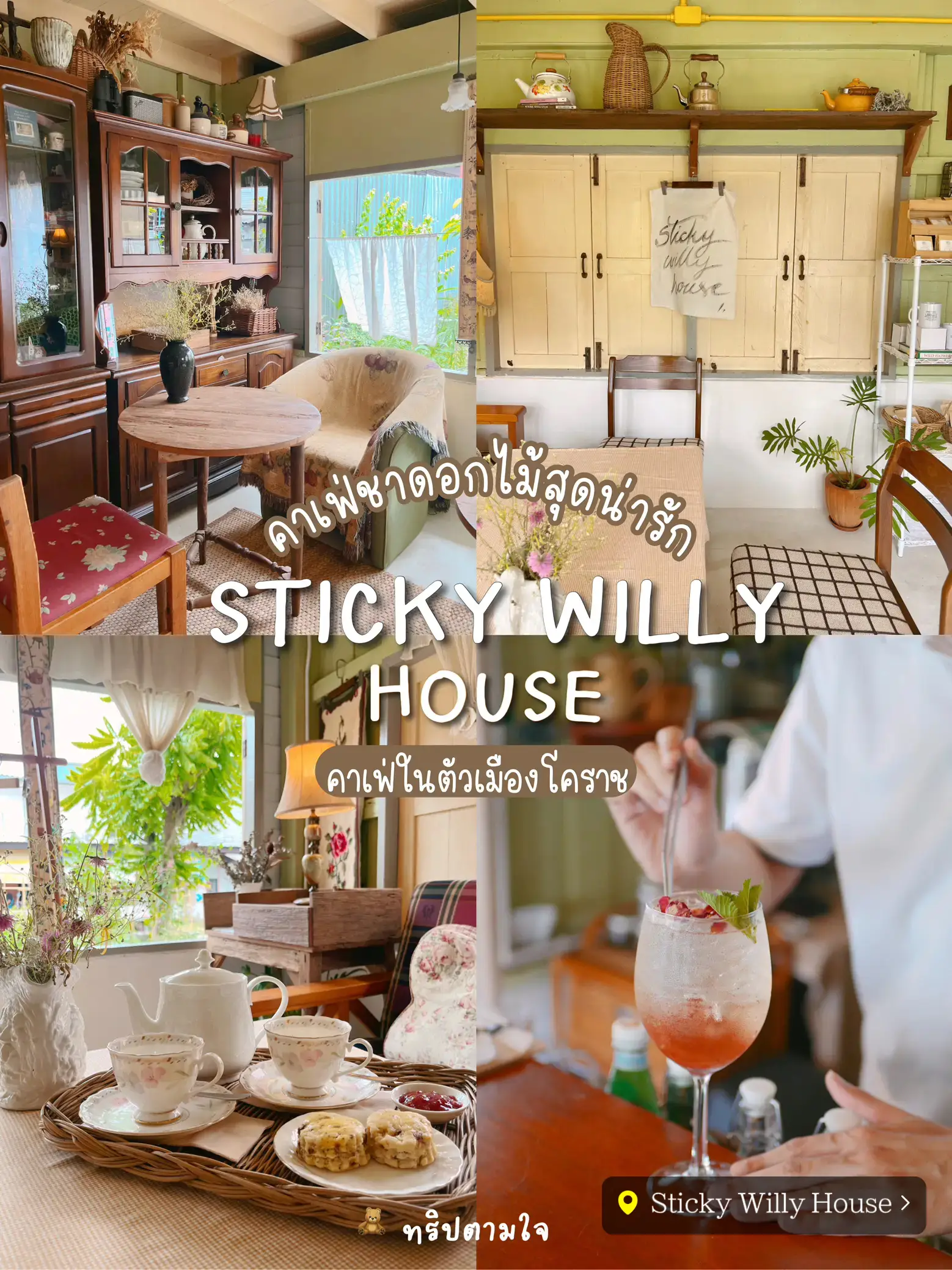 🫖Cute flower chad cafe in downtown Korat Sticky willy house🌿 | Gallery ...