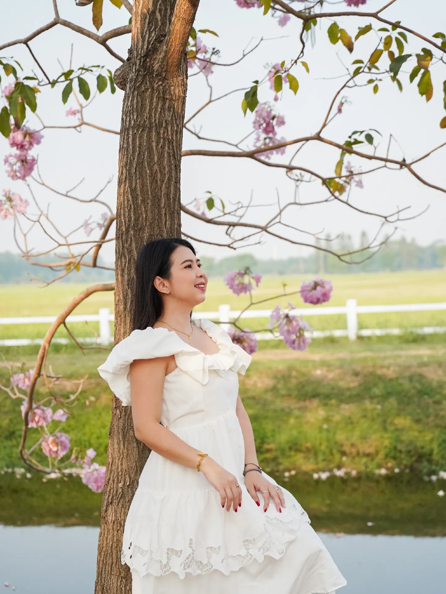 ชมพูพันธุ์ทิพย์รอบสุดท้ายปี 2568🌸🌸 | แกลเลอรีที่โพสต์โดย NattaLee ...