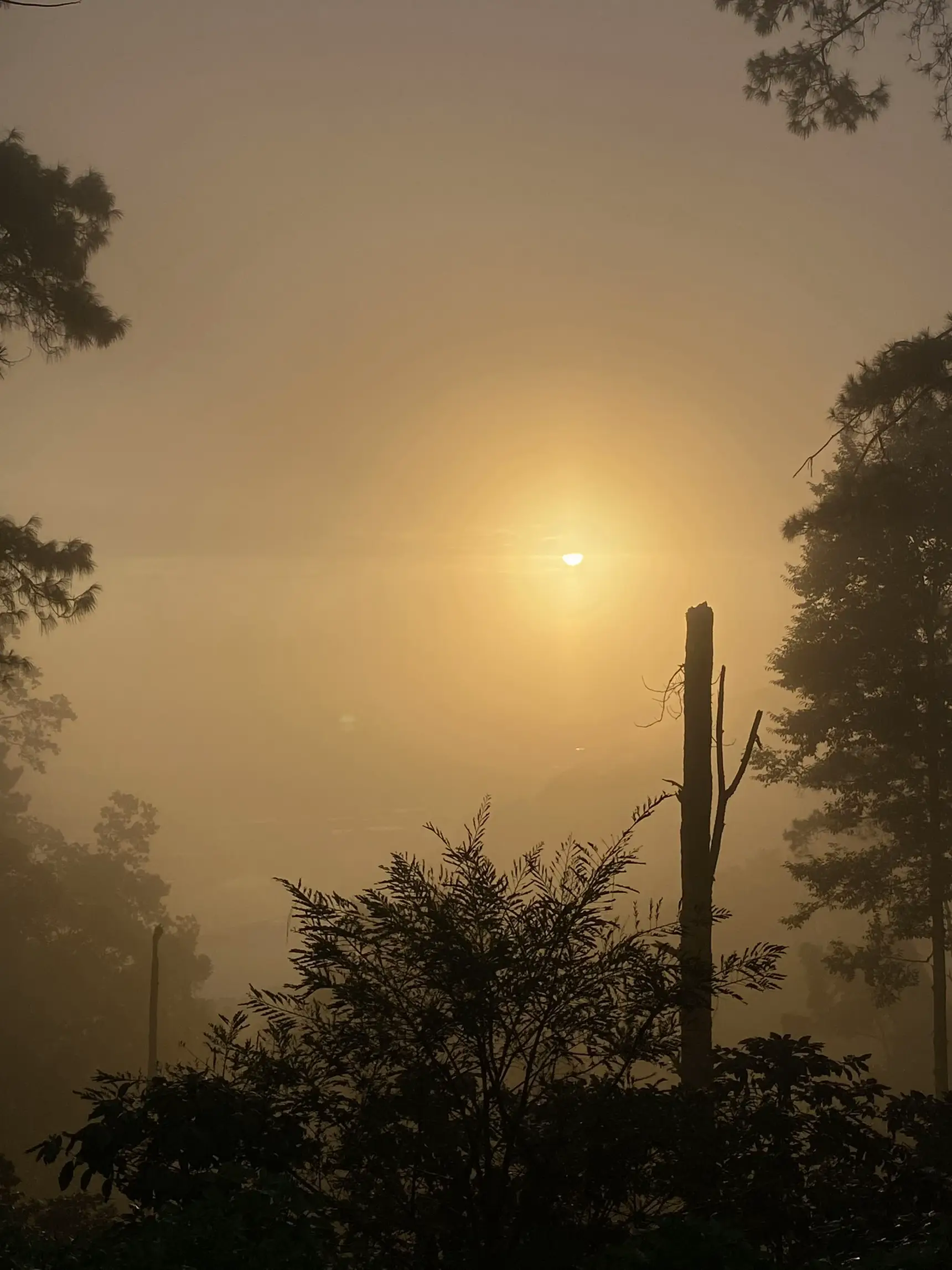 6 พิกัดเที่ยวบ้านผาฮี้ | เชียงราย 🏡⛰️🌧️🌈 | แกลเลอรีที่โพสต์โดย ewery.pump | Lemon8
