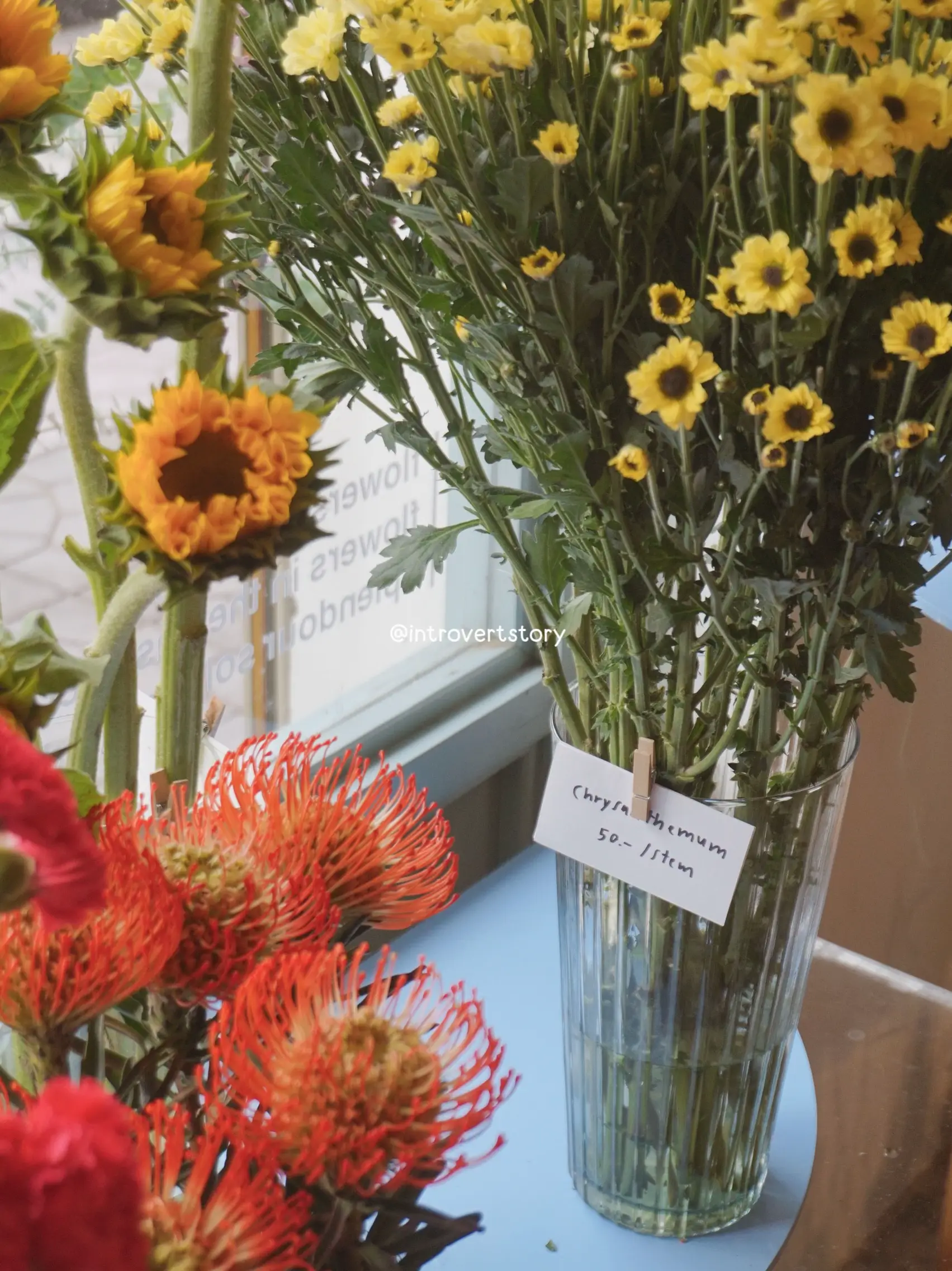 Flowers in the mist 🌻 คาเฟ่ดอกไม้น่ารักย่านปากคลองตลาด | แกลเลอรีที่ ...