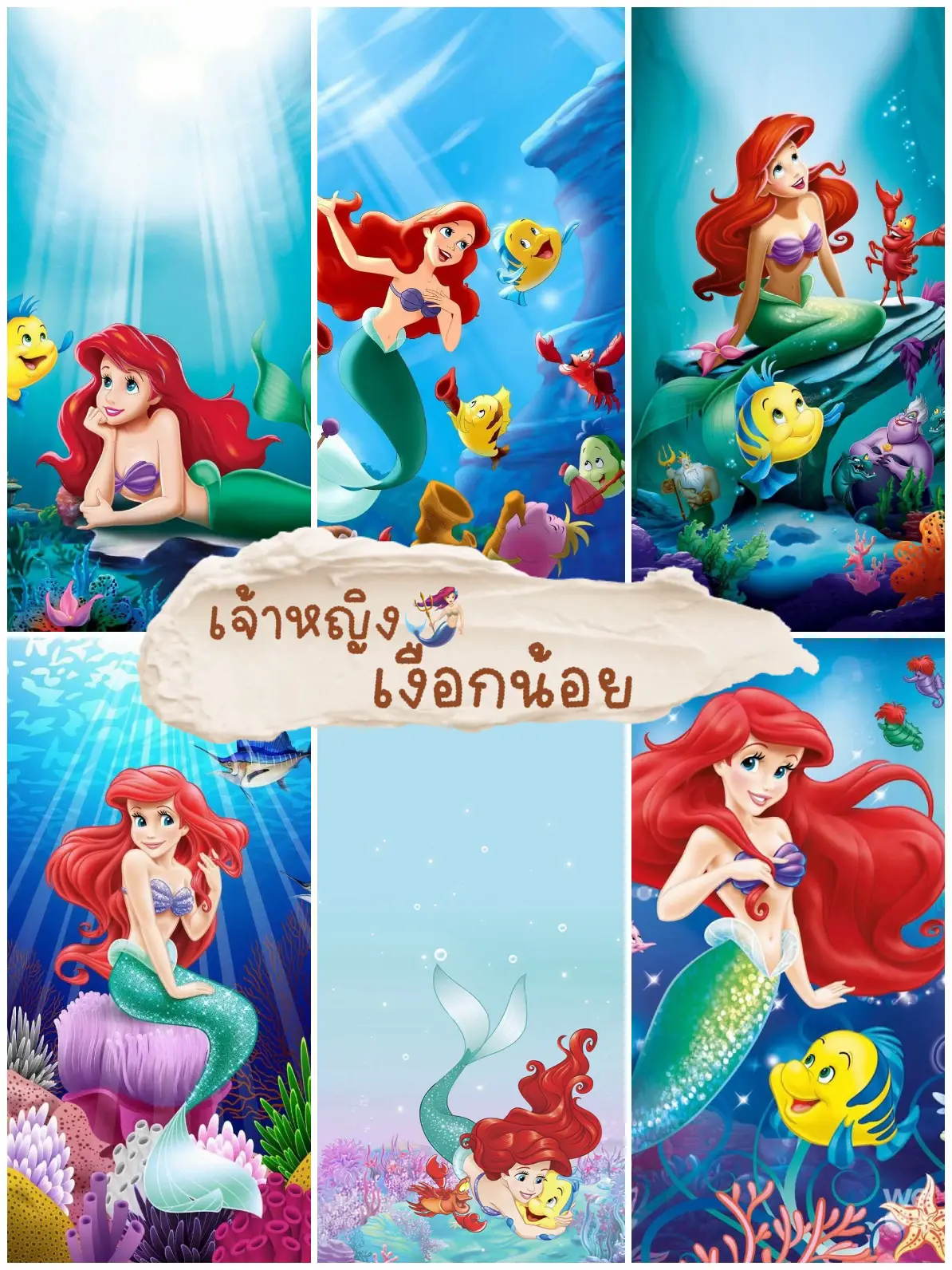 แจกวอลเปเปอร์ฟรี เจ้าหญิงเงือกน้อย🧜🏻♀️ แกลเลอรีที่โพสต์โดย •candy