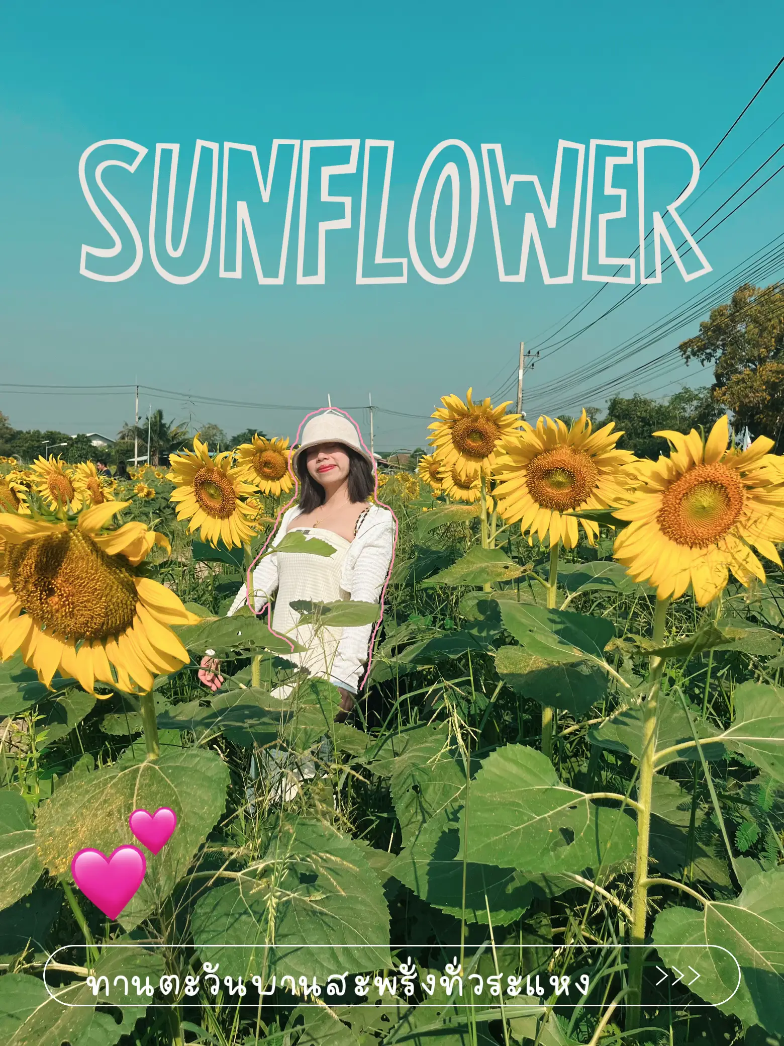 ขอให้เธอสดใสเหมือนทานตะวันที่บานสะพรั่ง 🌻 | แกลเลอรีที่โพสต์โดย Wee Weerawan | Lemon8