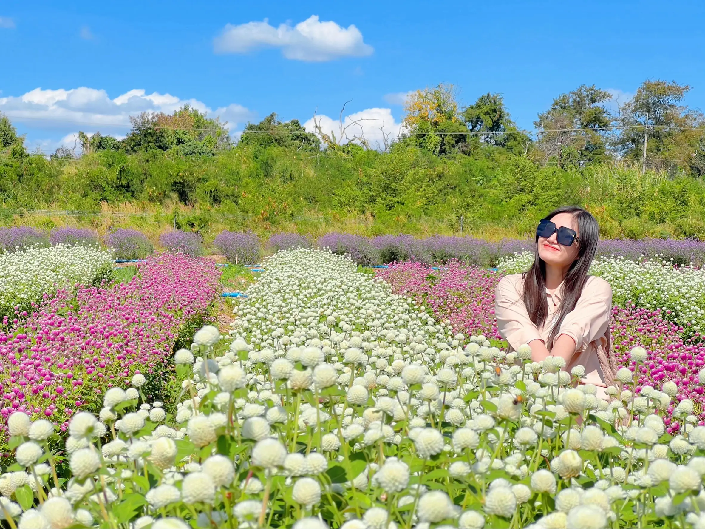 TOKYO FARM @ ปากช่อง | แกลเลอรีที่โพสต์โดย Aomja68 | Lemon8