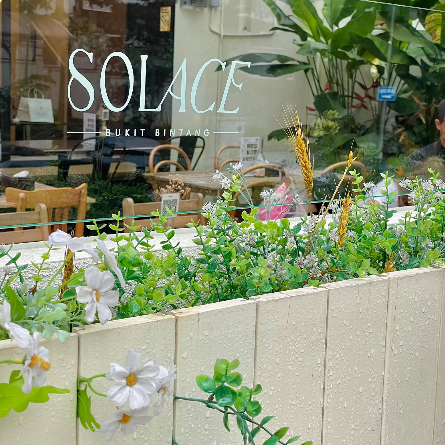 Solace cafe Bukit Bintang | Galeri disiarkan oleh 𝒜𝓃𝒶𝓉𝒶𝓈𝒾𝒶 | Lemon8