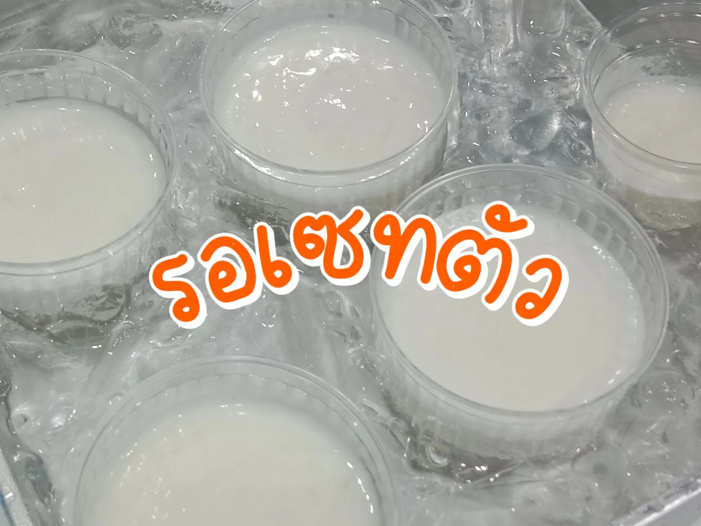 😋Yogurt Pudding 😋 | แกลเลอรีที่โพสต์โดย Likes สาระ | Lemon8