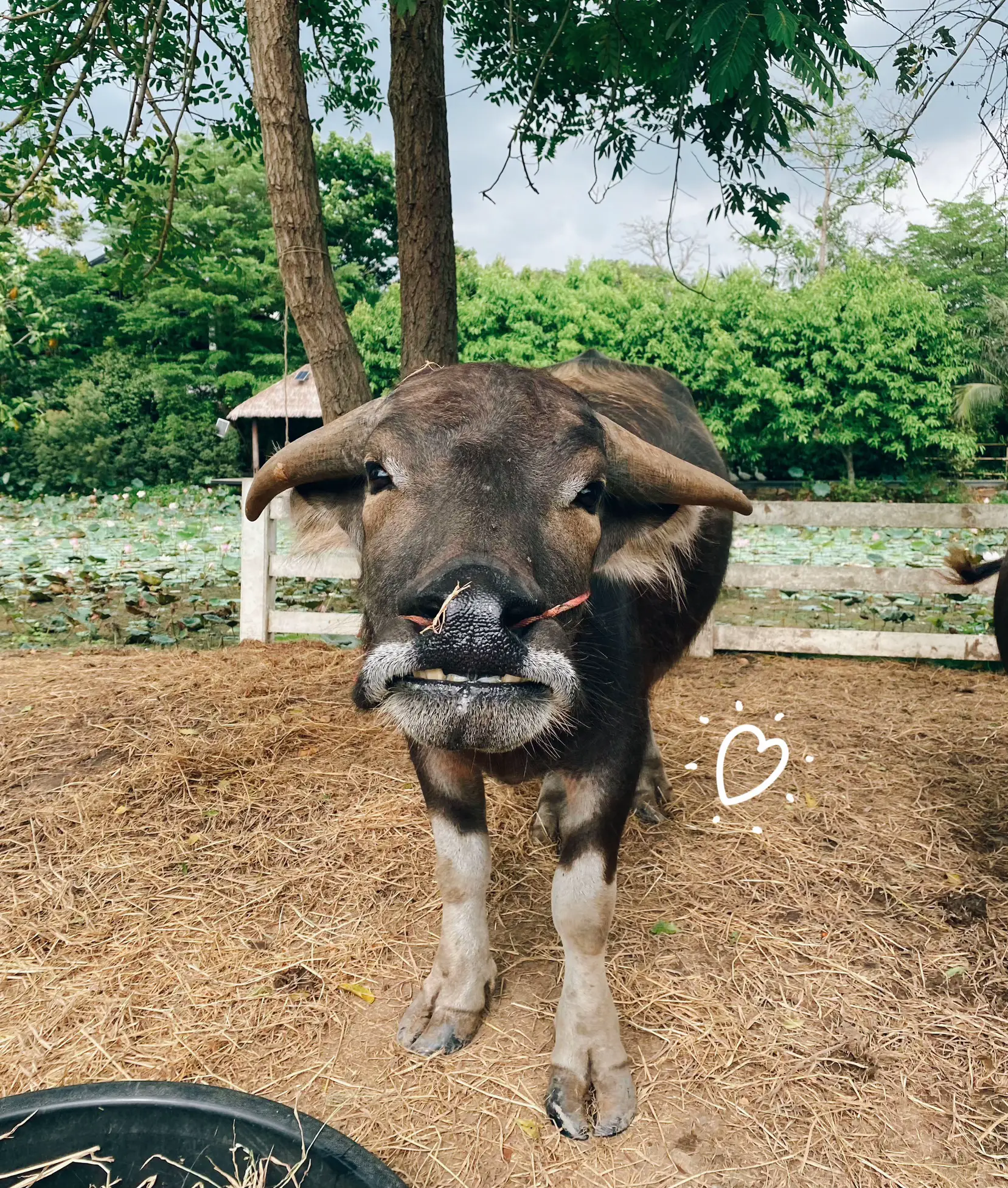 วันเดย์ทริป! งบ 1,000 บาท (2คนยังเหลือ) เที่ยวใกล้กรุงเทพ!🏝️ | แกลเลอรี ...