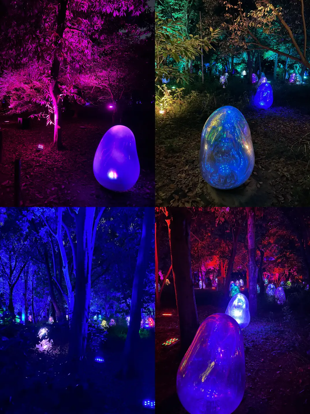 🇯🇵 teamLab Botanical Garden Osaka - worth a visit?🤔 | Gallery posted by ...