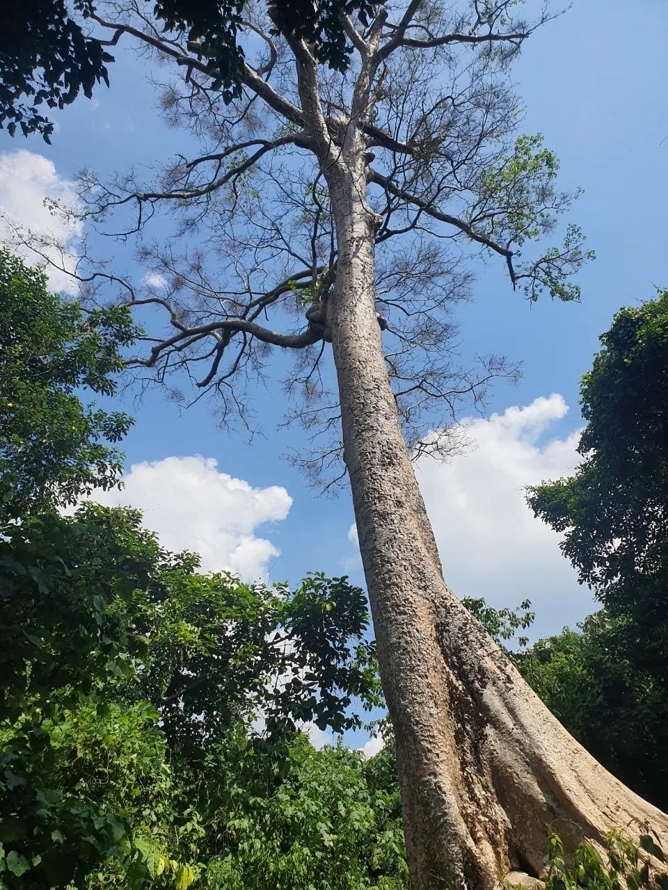 🌳เดินเขาระยะใกล้ เขาหัวหมวก นครนายก | แกลเลอรีที่โพสต์โดย Nuchu.Story☀️ ...