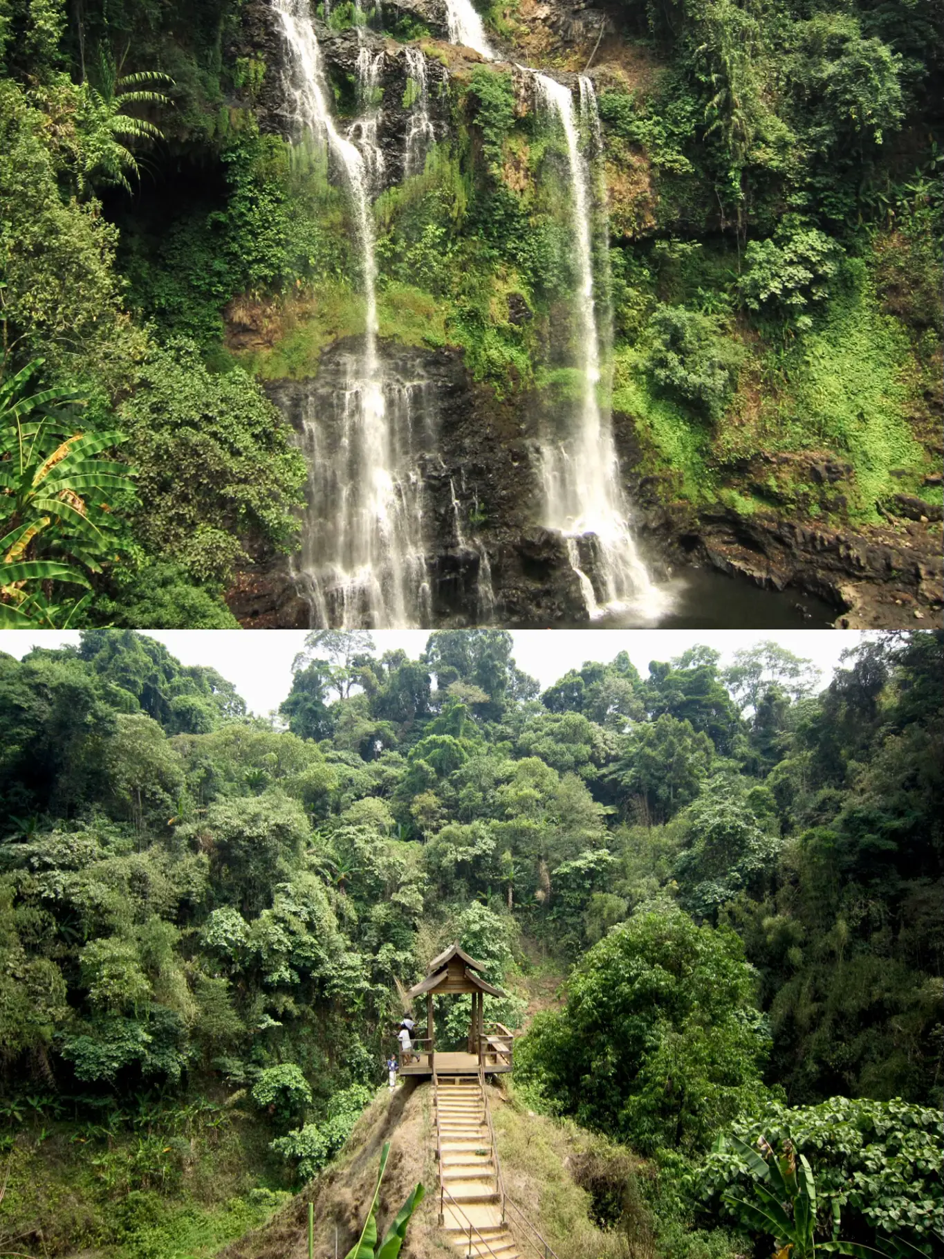 รีวิวเที่ยวลาวใต้ 3วัน2คืน ด้วยงบ5,000บาท | แกลเลอรีที่โพสต์โดย Fxn ...