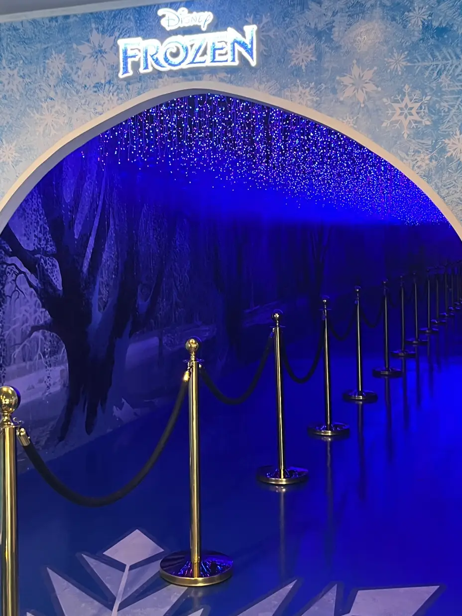 รีวิวโซน Frozen Exhibition โซนนี้มีอะไรบ้าง ️🌌 | แกลเลอรีที่โพสต์โดย Merrypring🎄 | Lemon8