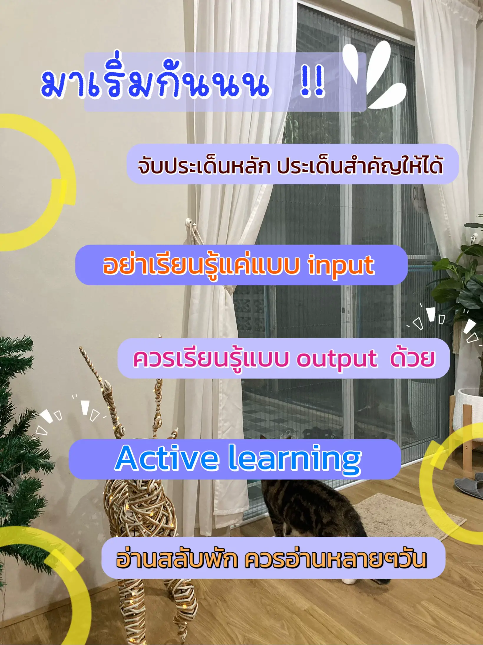 สูตรโกงความจำาา 📚📖 | แกลเลอรีที่โพสต์โดย A_learning | Lemon8
