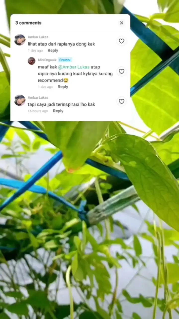 Tali Rambatan Tanaman dari Rapia | Video dipublikasikan oleh MiniOrganik | Lemon8