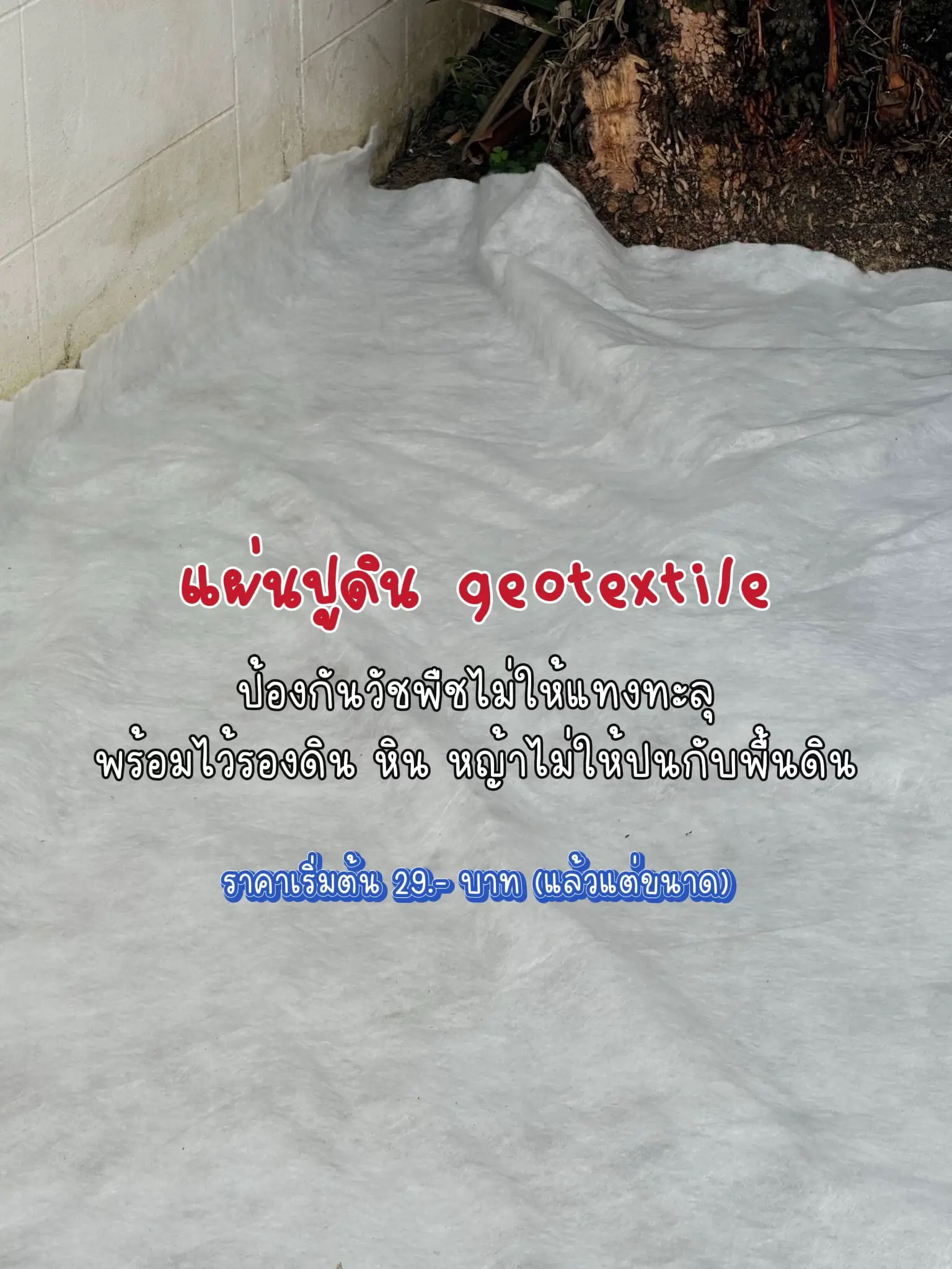 แนะนำวัสดุที่สำคัญในการจัดสวนเอง ! 🛒 | แกลเลอรีที่โพสต์โดย Tontarn.pp | Lemon8